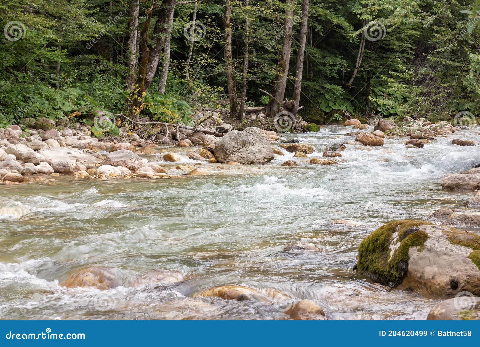 Mountain Rivers Formed from Glaciers are Sources of Clean Ecological ...