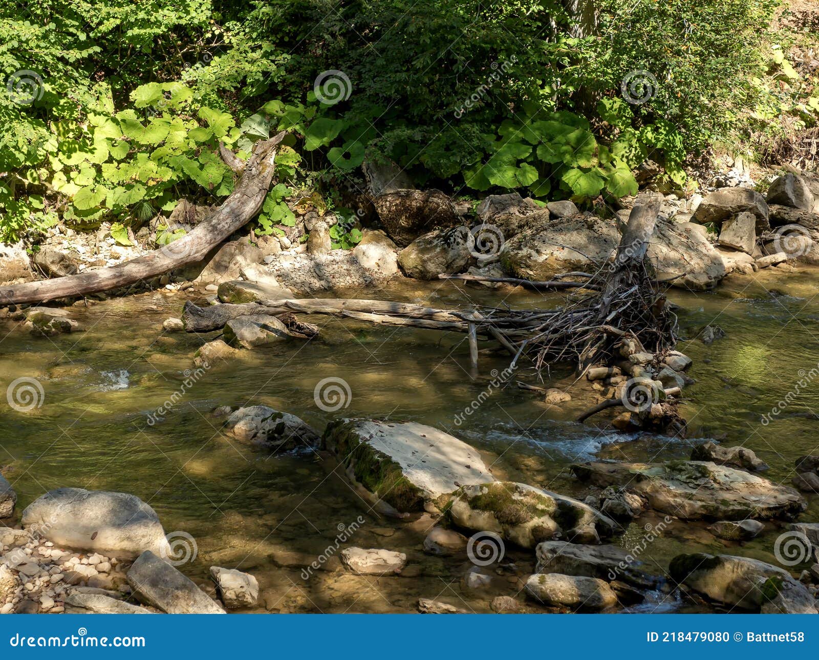 Mountain Rivers, Sources of Environmentally Friendly Resources of Water ...