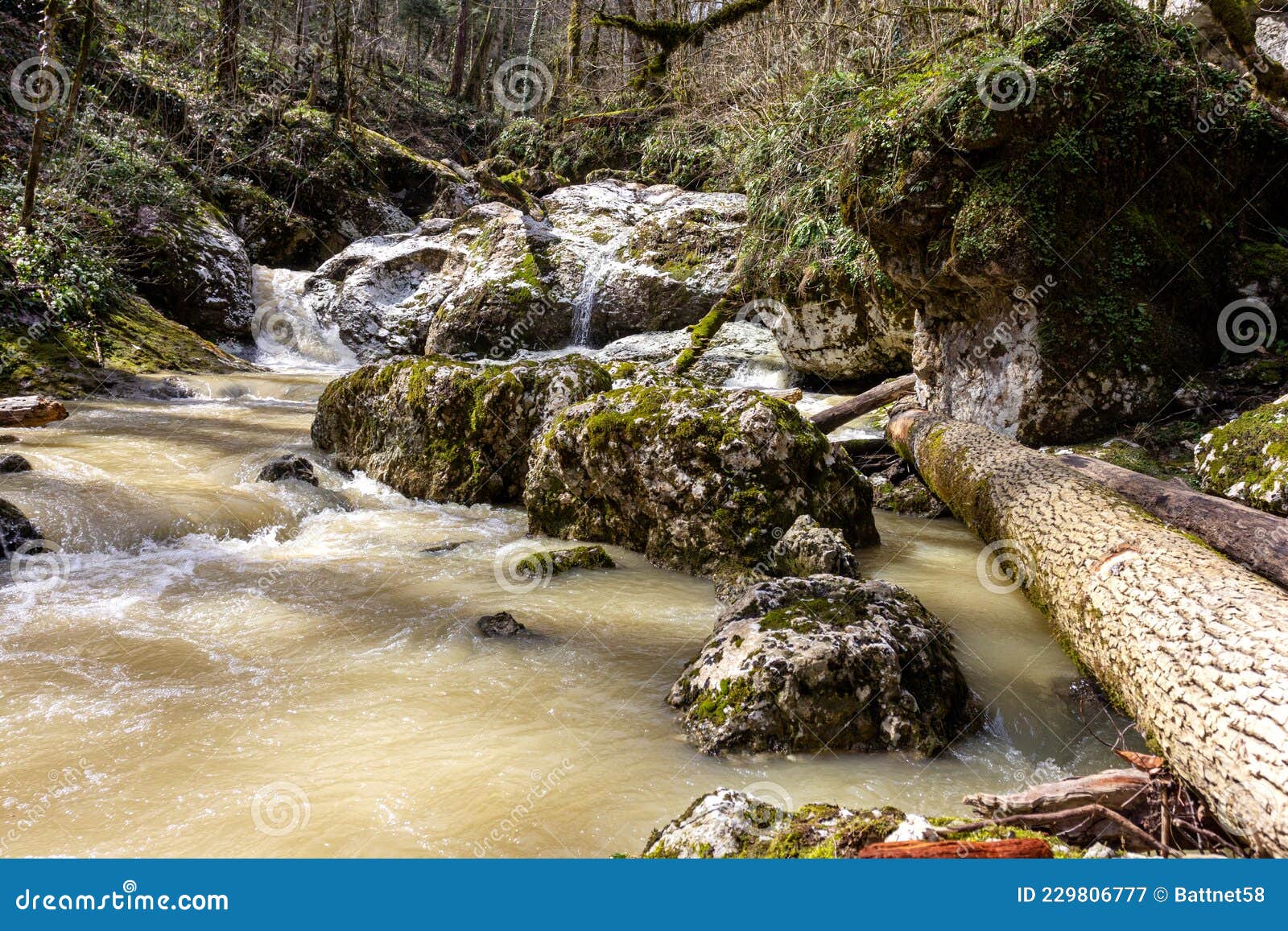 Mountain Rivers, Sources of Clean Water Reserves on the Planet, on a ...