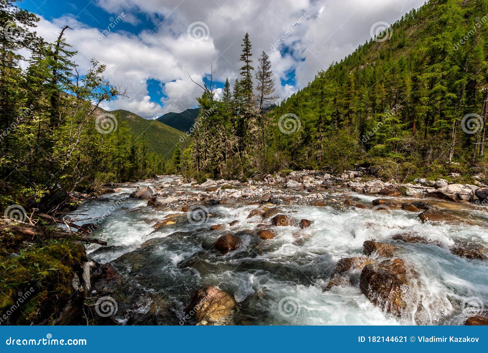 Mountain Rivulet Flows among Large Stones and Dense Forest. Stock Image ...