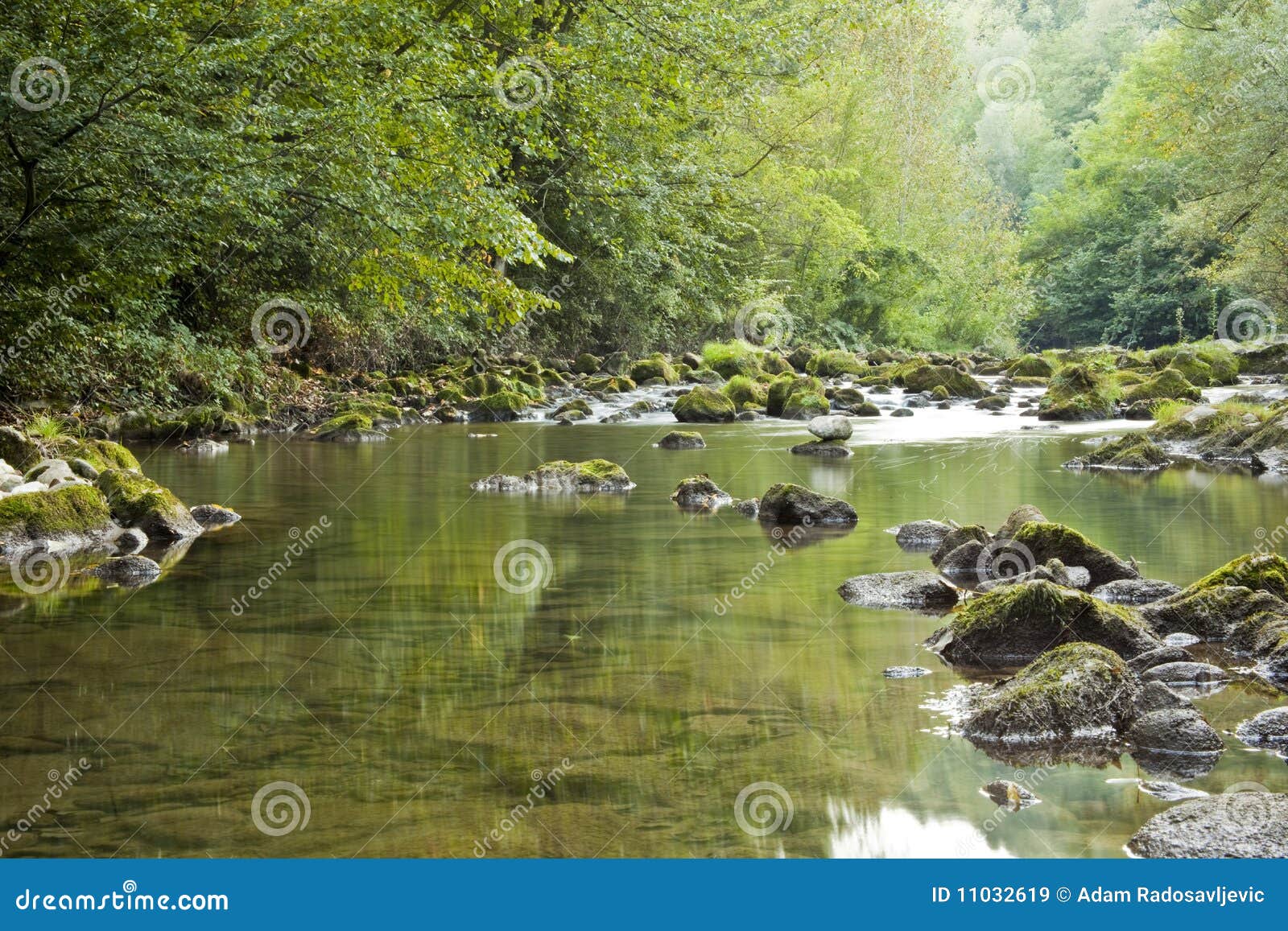 Mountain riwer in forest stock image. Image of reflection - 11032619