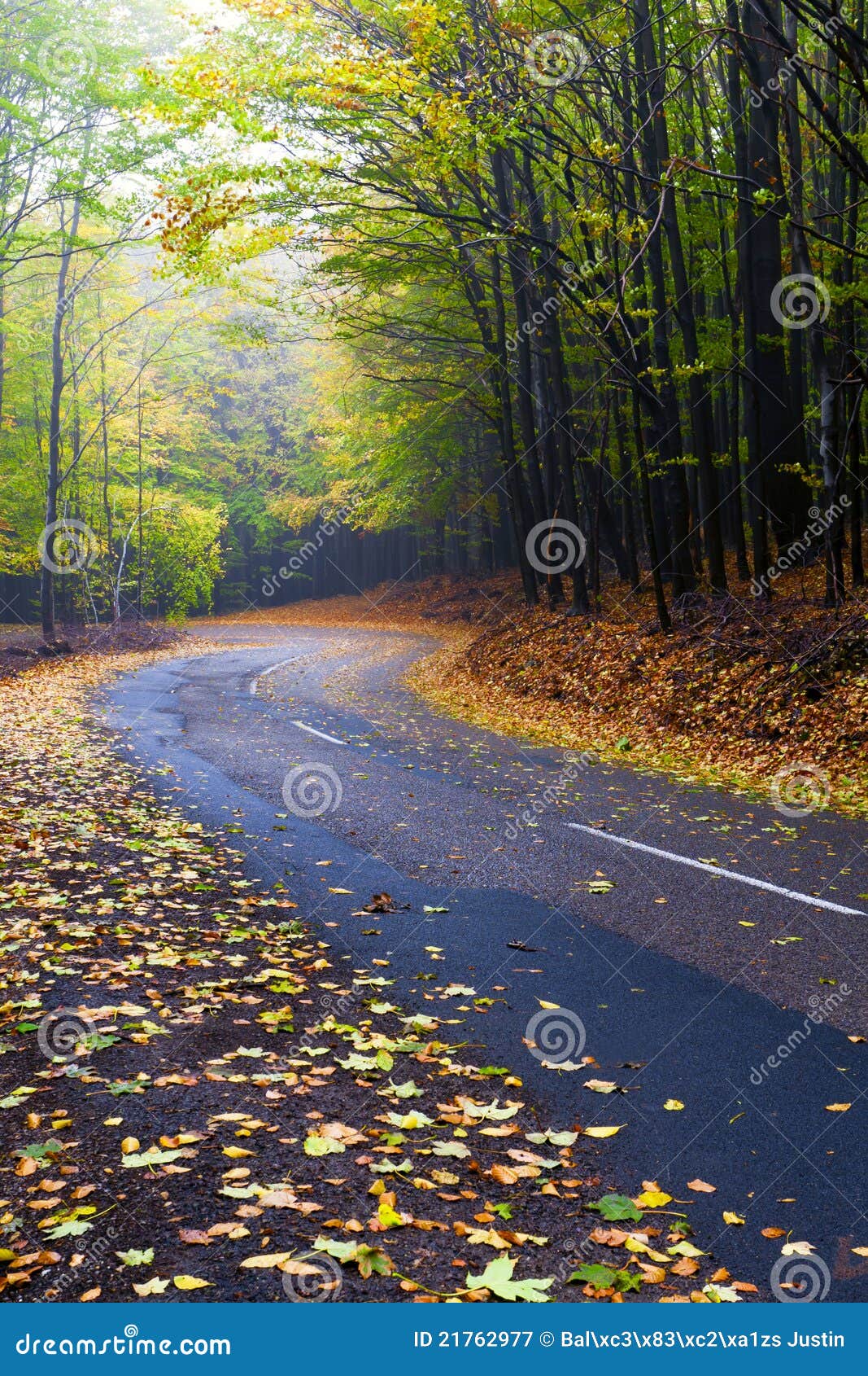 Mountain Road in a Beautiful Autumn Forest. Stock Image - Image of ...