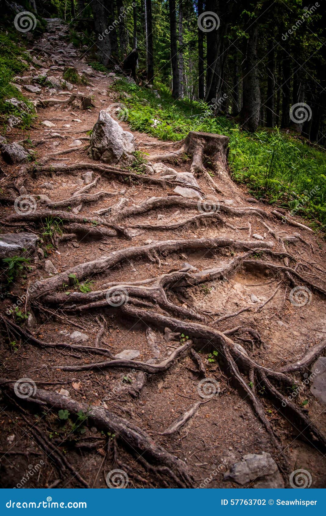 Mountain road stock photo. Image of mountain, nature - 57763702