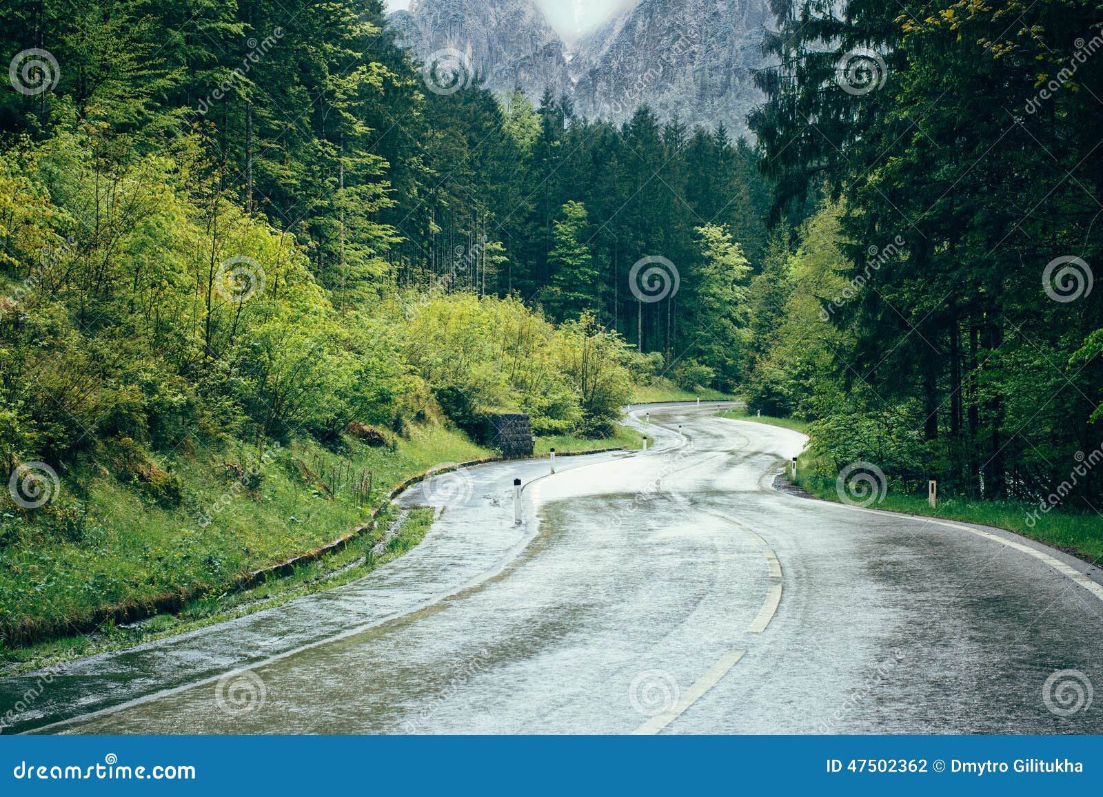 Mountain road in forest stock photo. Image of austria - 47502362