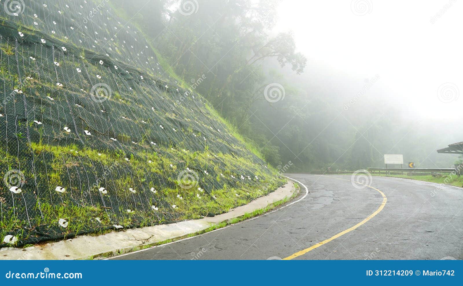 Mountain Road, Humid Forest, with Slope Containment Stock Image - Image ...