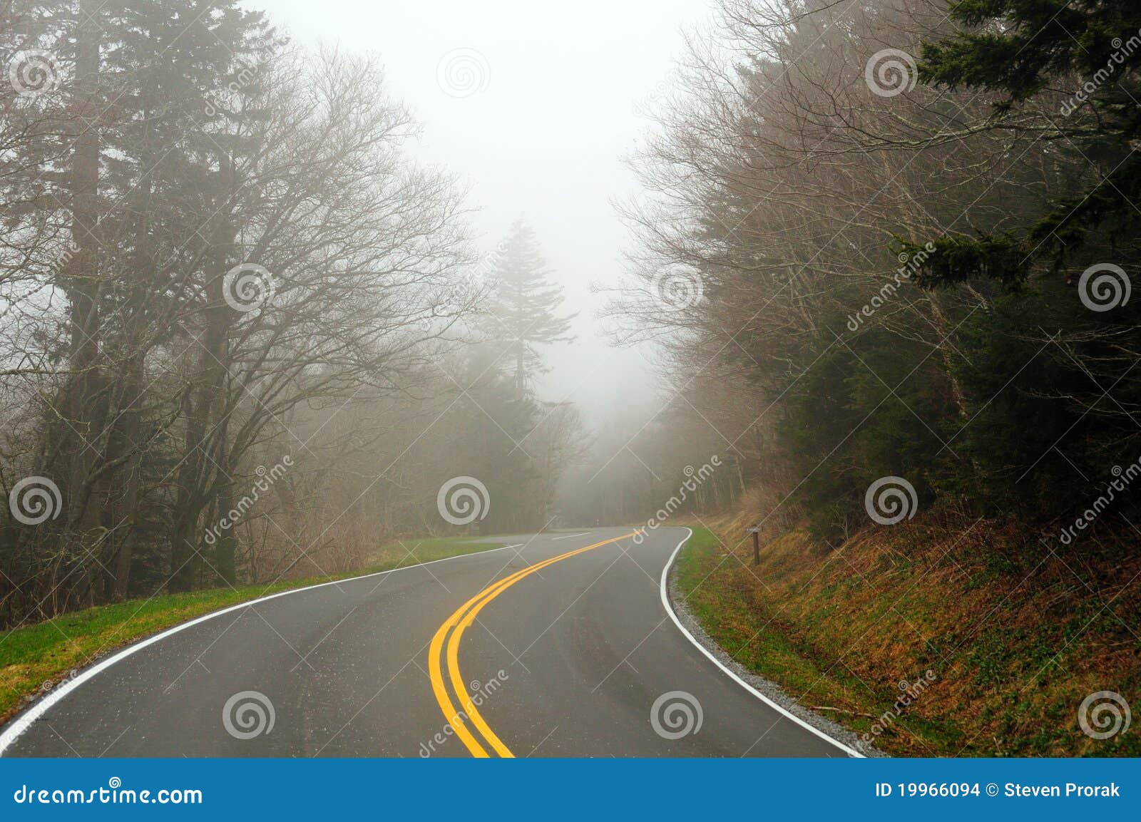 Mountain road in the mist stock photo. Image of nature - 19966094