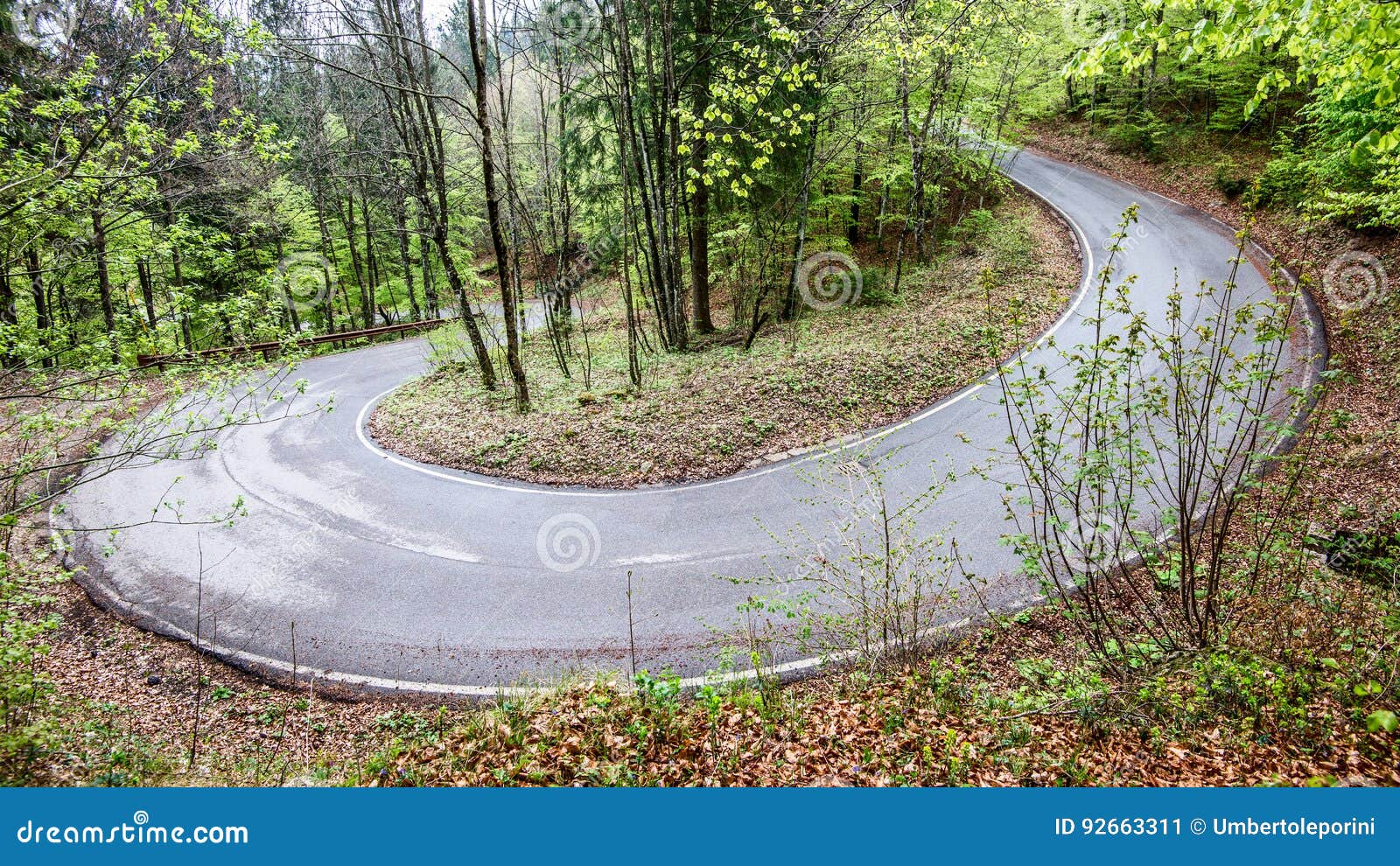 Mountain road stock image. Image of spring, forest, road - 92663311