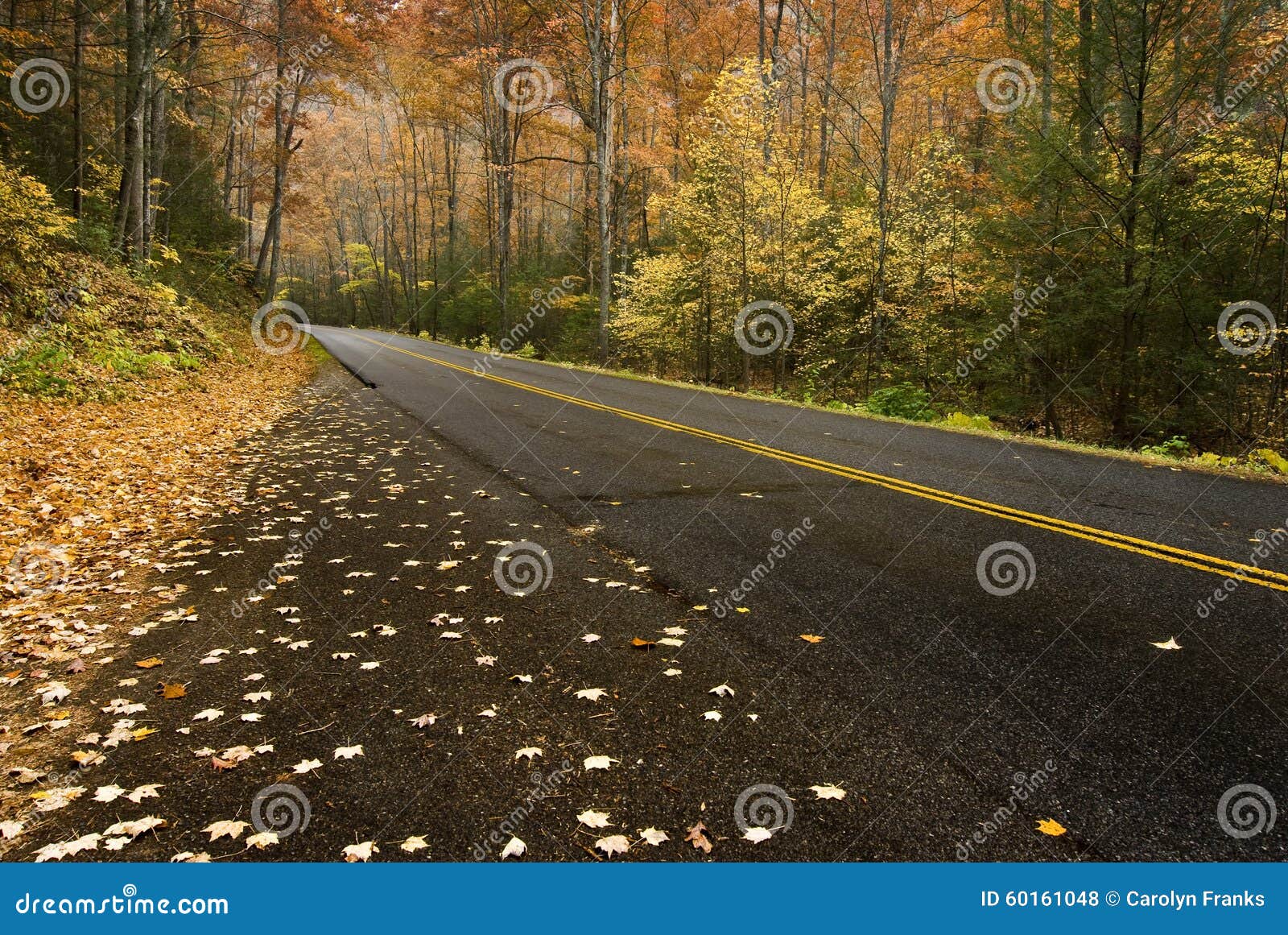 Mountain Road in the Rain stock photo. Image of autumn - 60161048