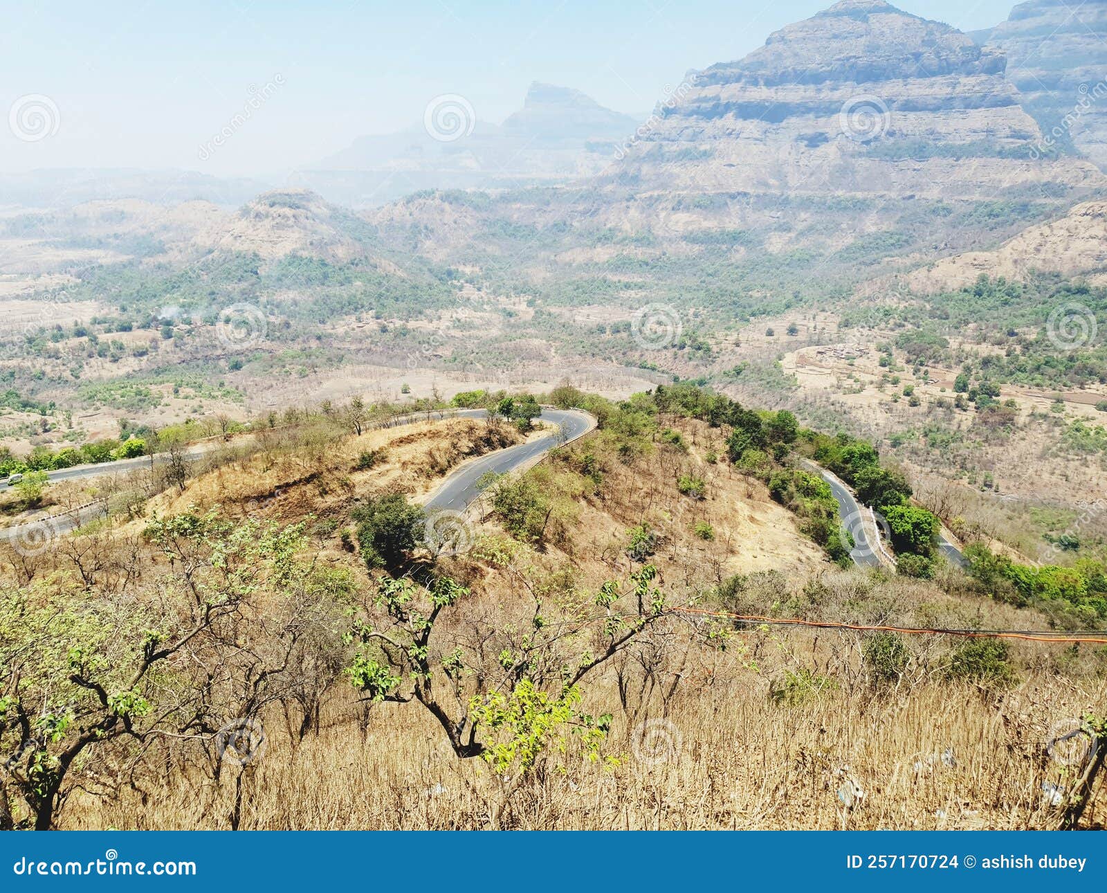Mountain Road Tree Grass Cloud Stock Photo - Image of nature, grass ...