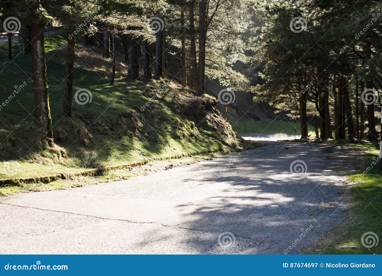 Mountain road among trees stock image. Image of asphalt - 87674697