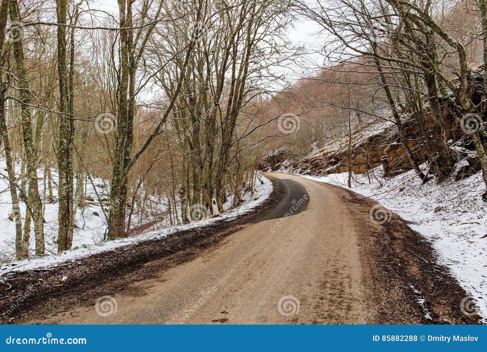 Mountain road turn stock photo. Image of tree, growth - 85882288