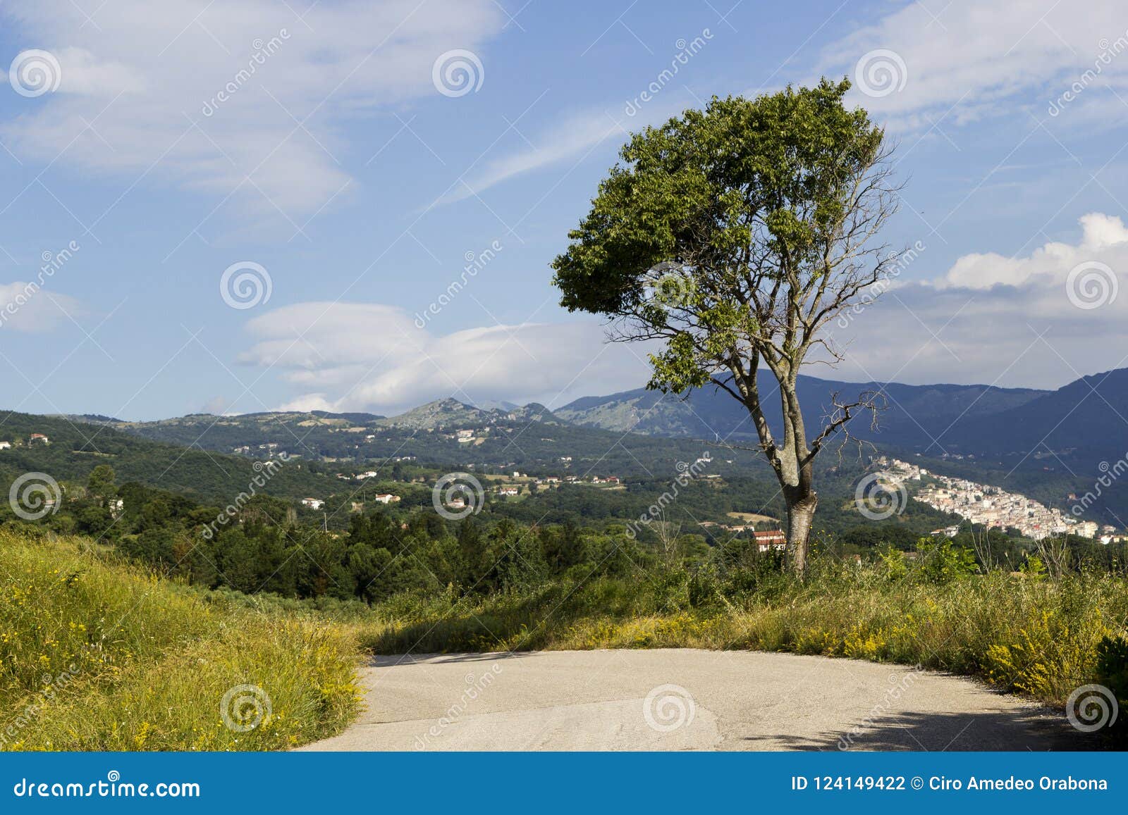 Mountain road stock photo. Image of mountain, forest - 124149422