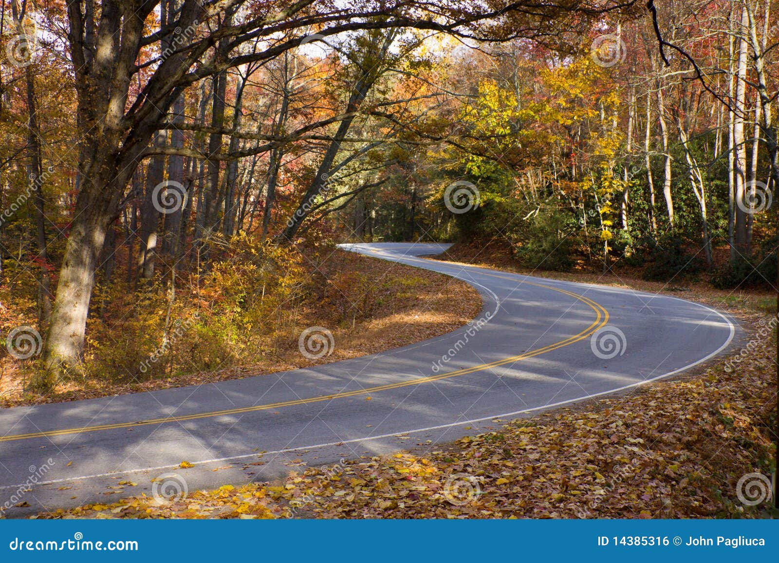 Mountain Road Winds through Sunlit Autumn Forest. Stock Photo - Image ...