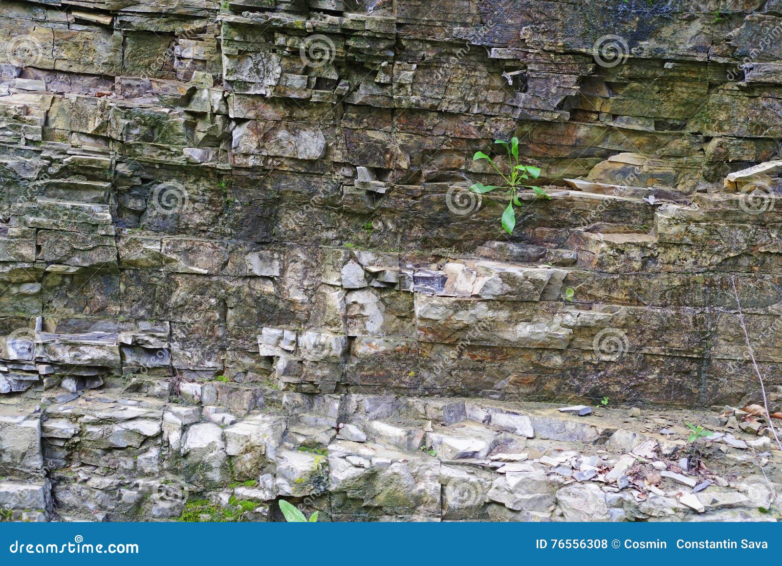 Mountain rock face details stock photo. Image of conglomerate - 76556308