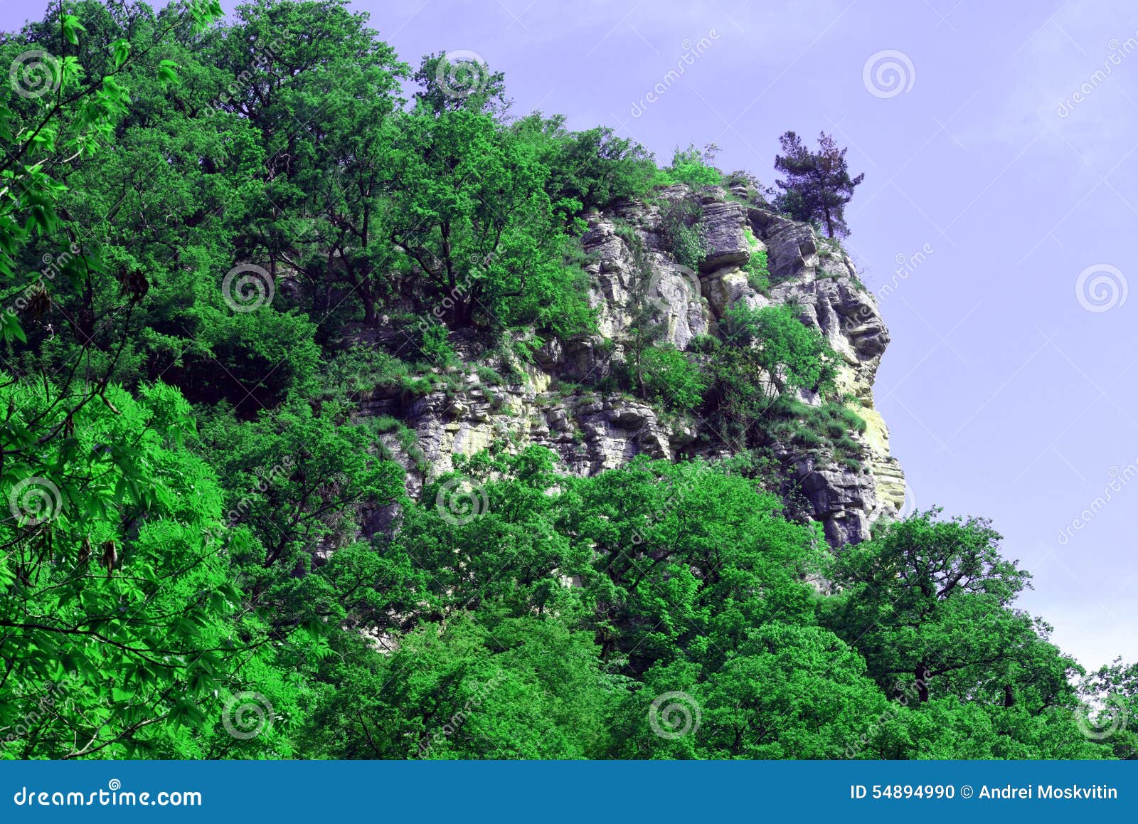 Mountain stock photo. Image of prometheus, trees, flora - 54894990
