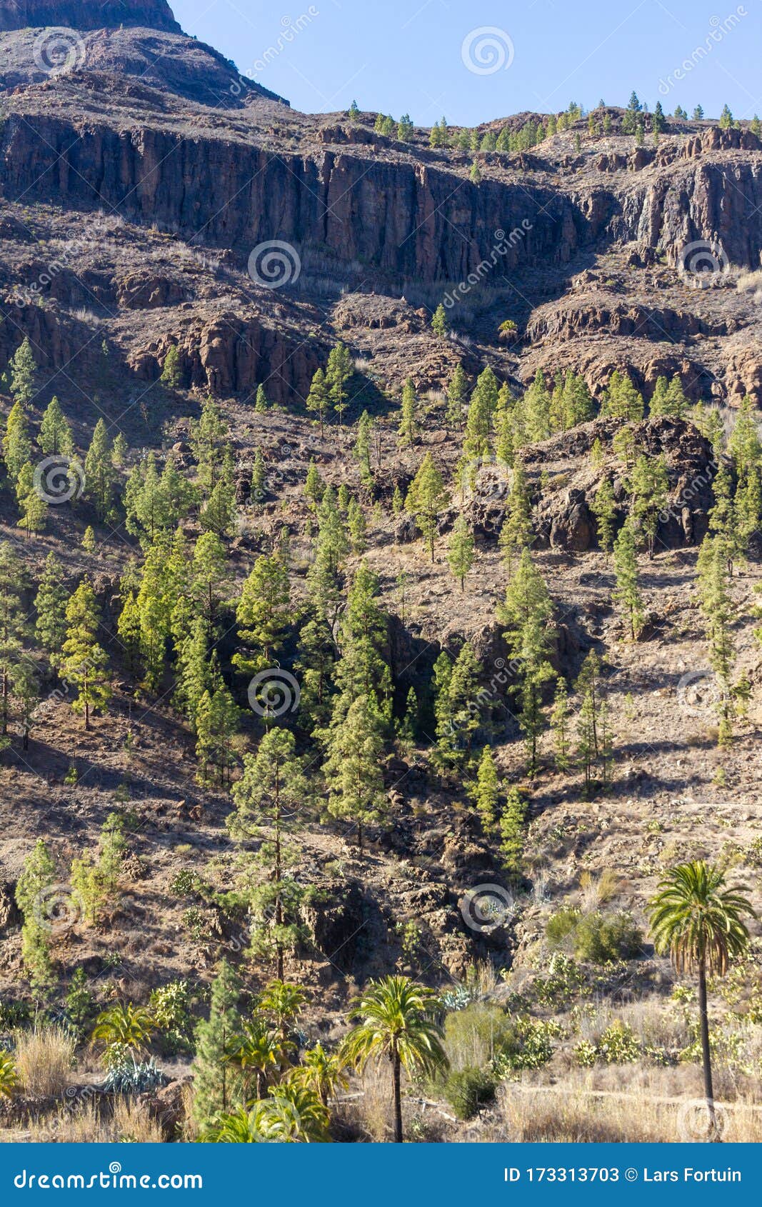Mountain Rock Wall with Trees Stock Image - Image of environment, stone ...