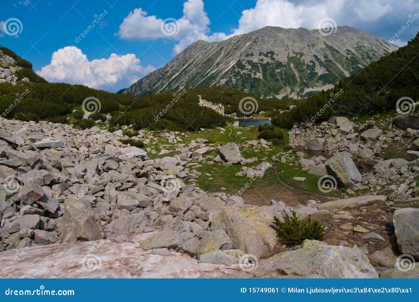 Mountain and Rocks stock image. Image of pine, pirin - 15749061
