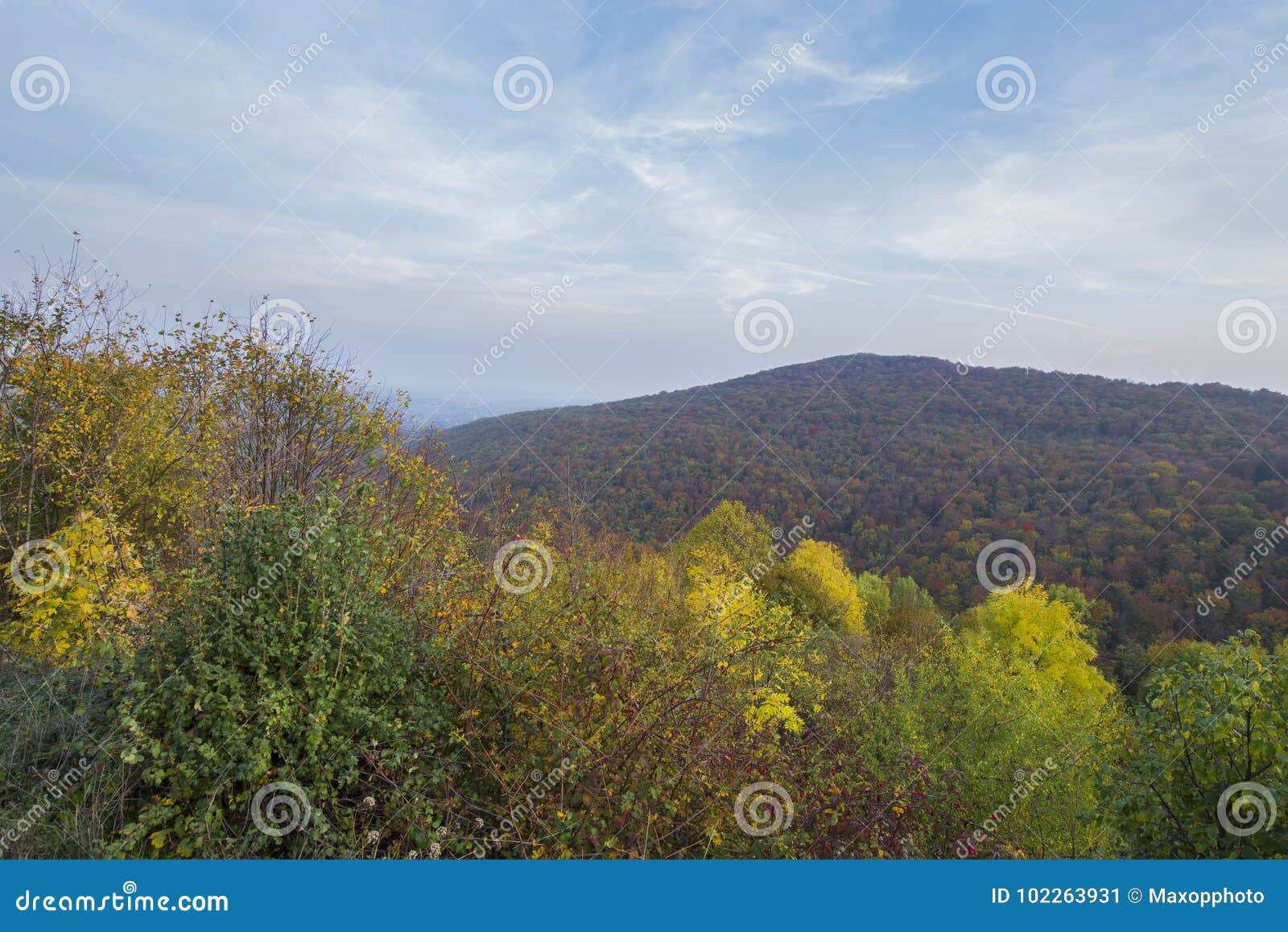 Mountain with Rocks in the Fall Yellow and Red Color. Autumn Scene ...