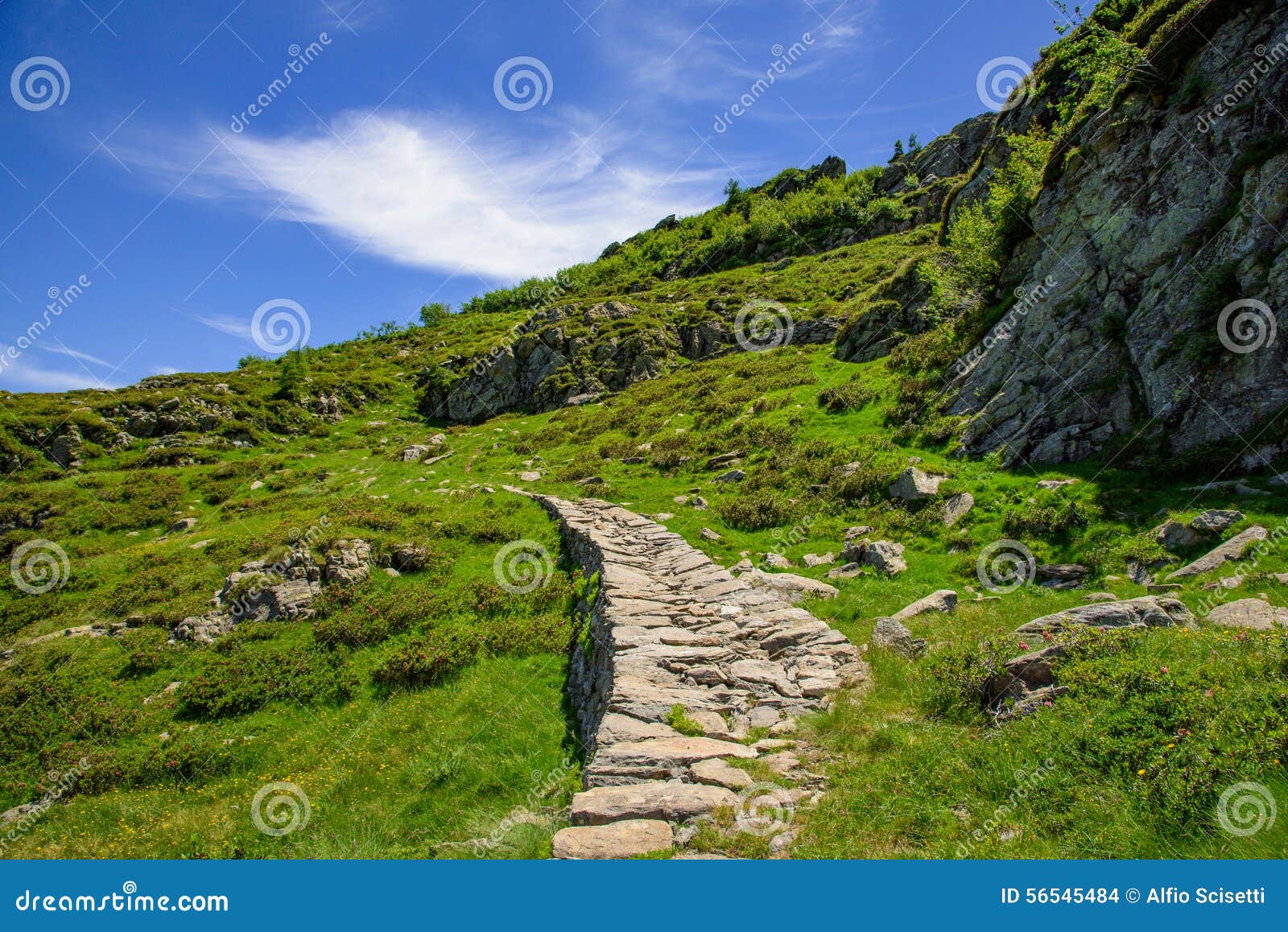 Mountain route stock photo. Image of grass, landscape - 56545484