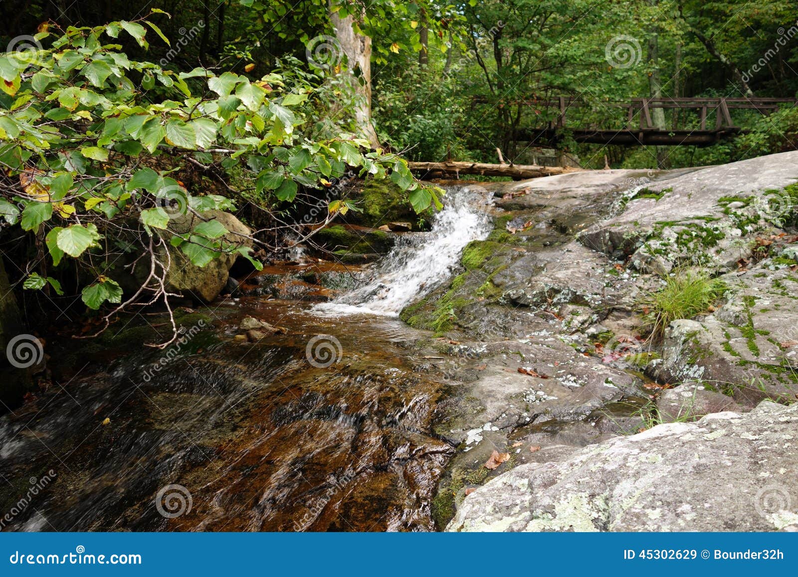 Mountain Run-off in the Springtime Stock Image - Image of clean, wooden ...