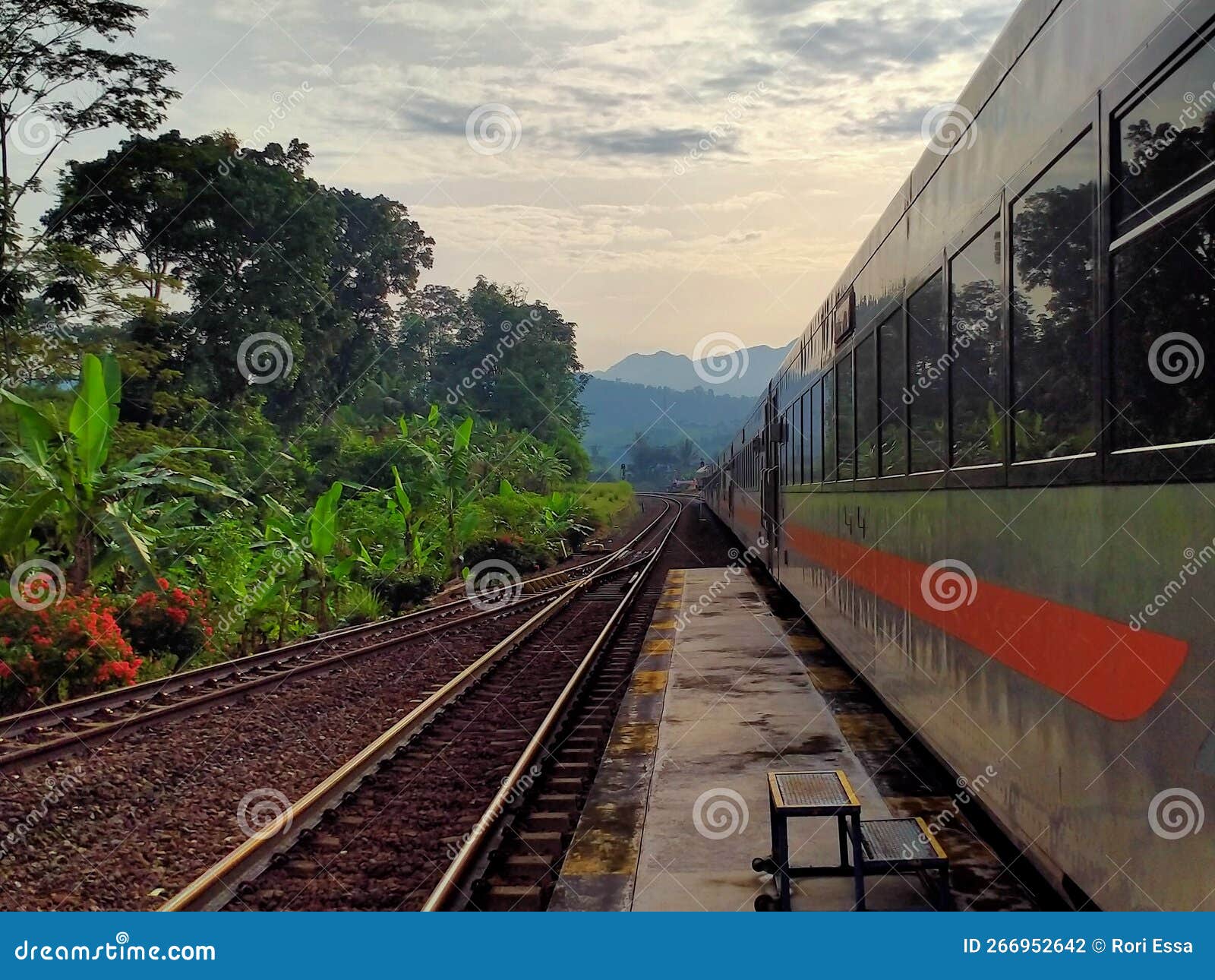 Mountain Rural Train Station with Train on Platform Stock Photo - Image ...