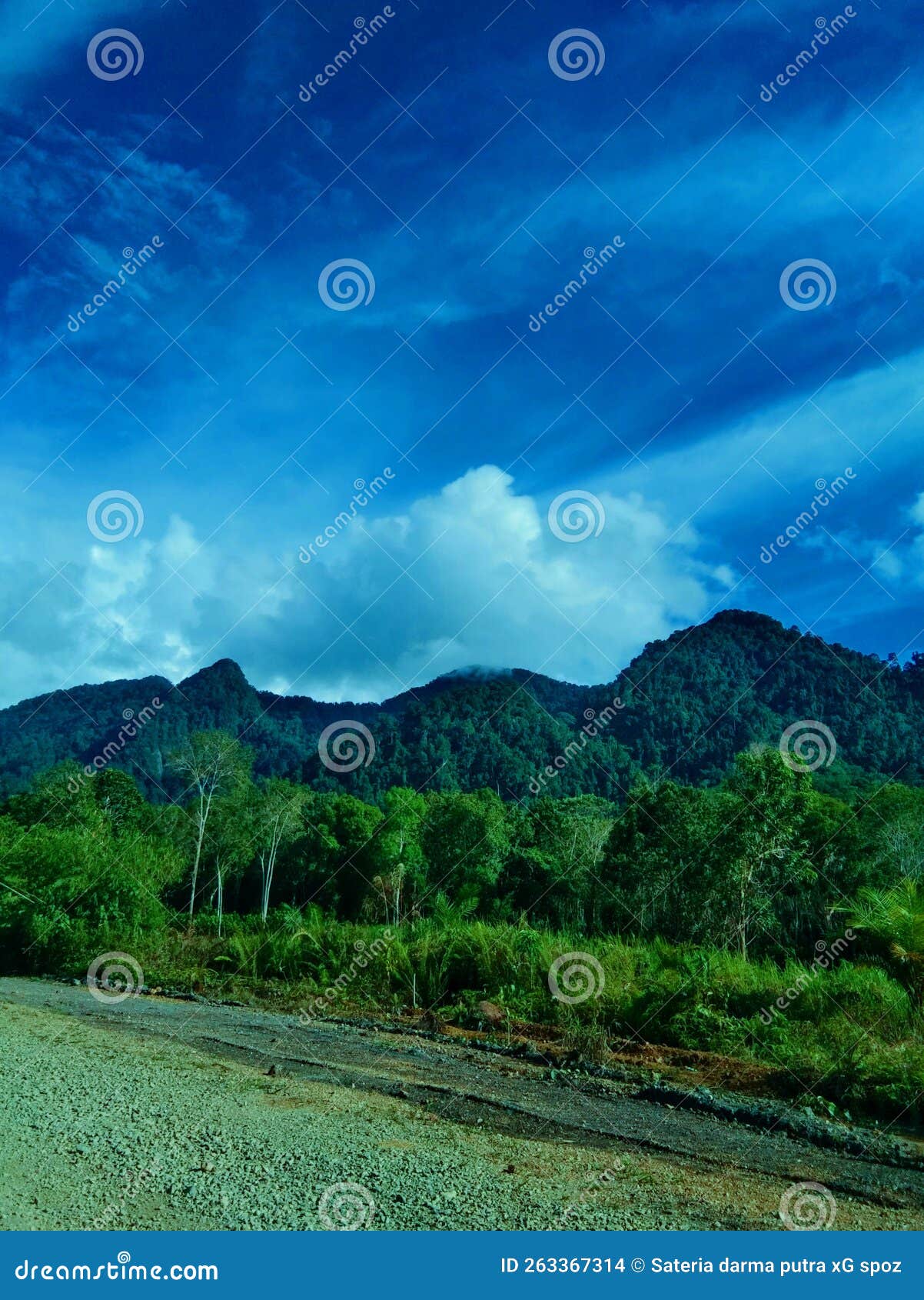 The Mountain& X27;s that Adorn the Xsis of Kalimantan. Stock Photo ...