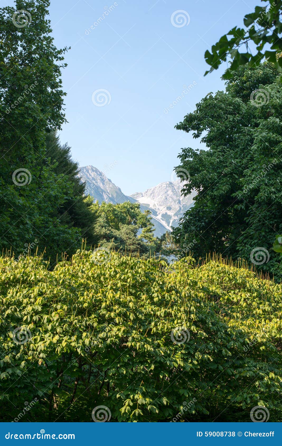 Mountain scape view stock photo. Image of wood, mountain - 59008738