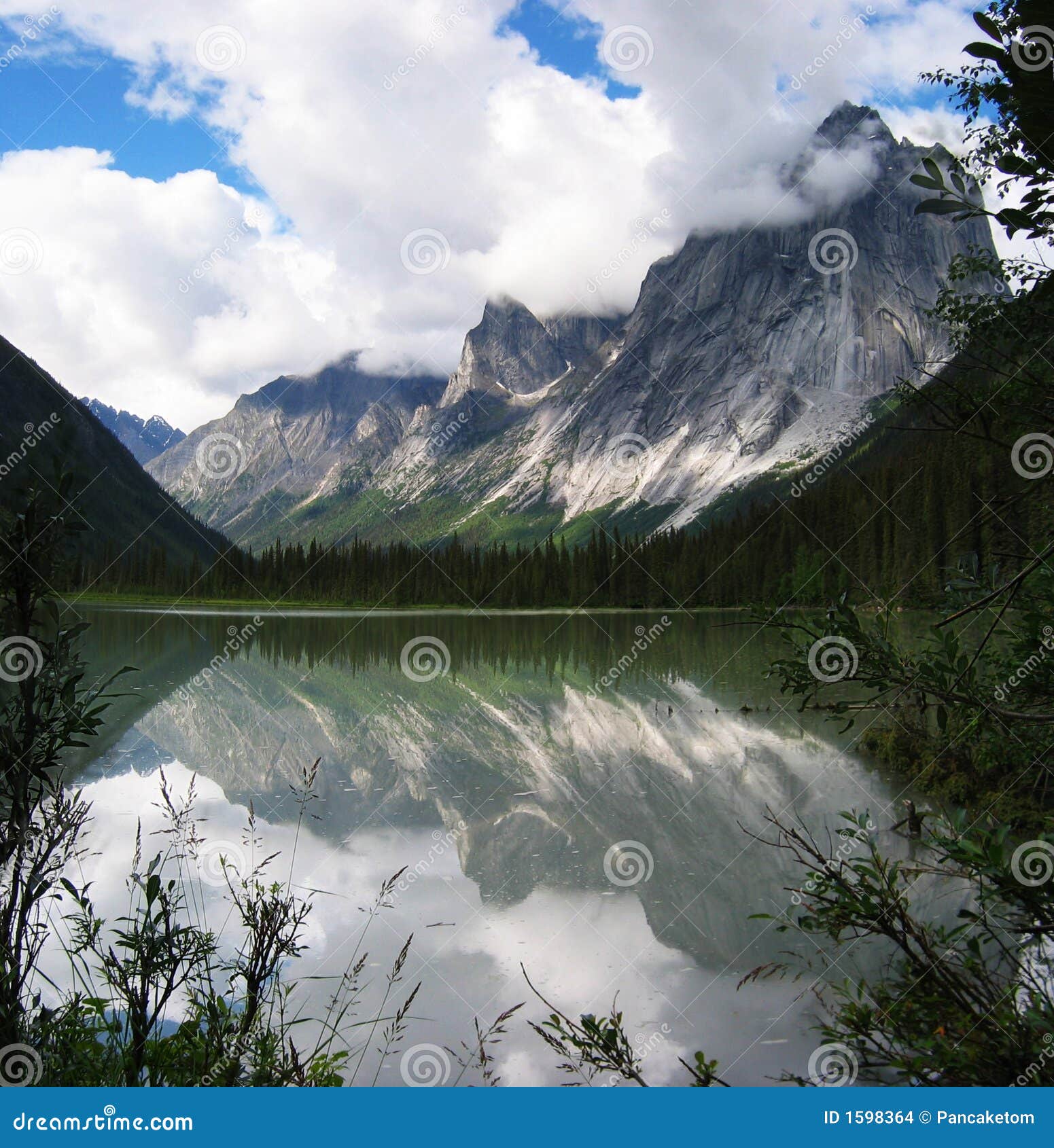 Mountain scene stock photo. Image of trees, cloud, territories - 1598364