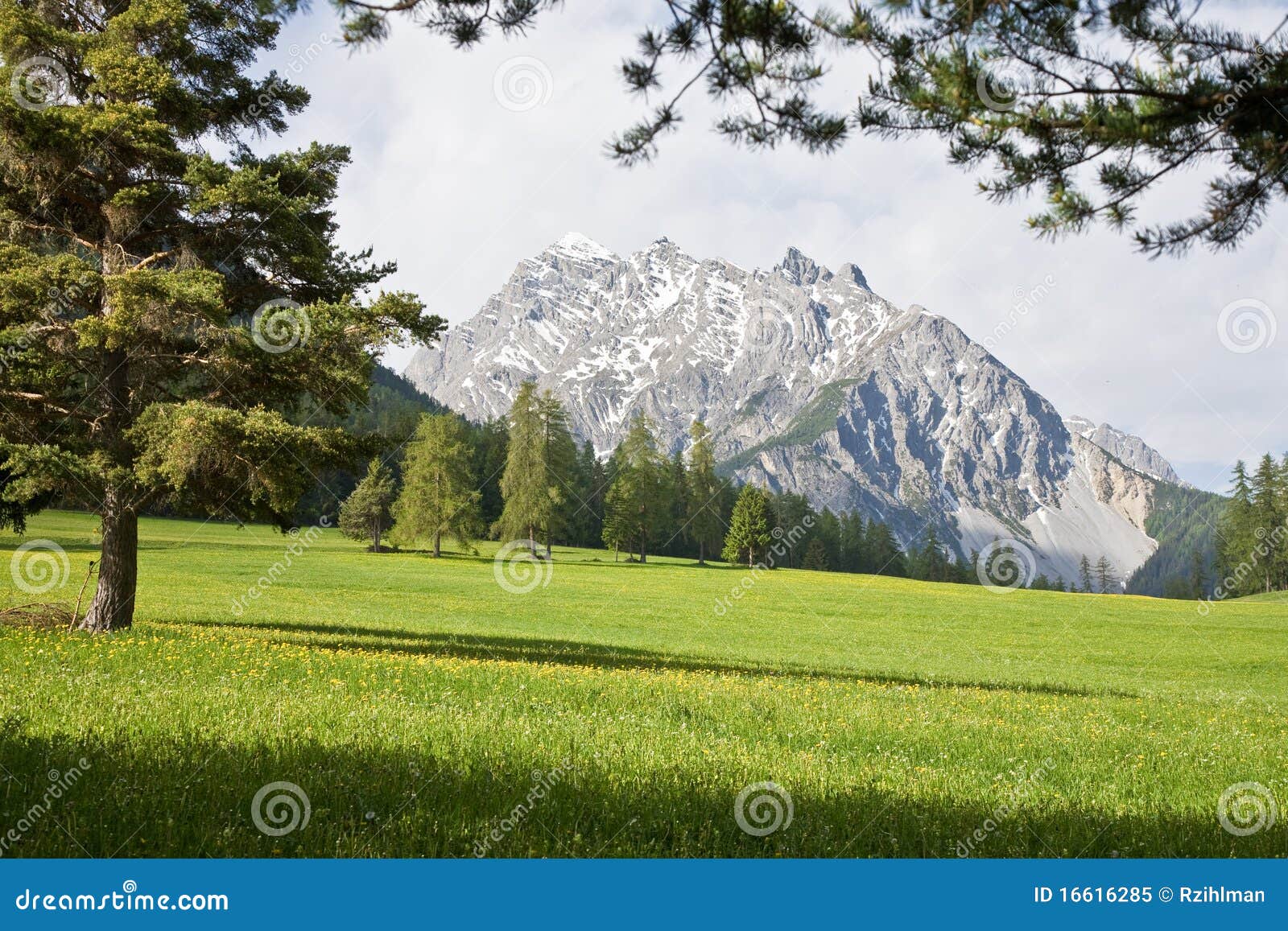 Mountain scene stock image. Image of forest, landscape - 16616285