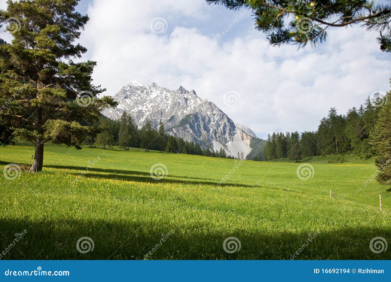 Mountain scene stock photo. Image of trees, field, flowers - 16692194