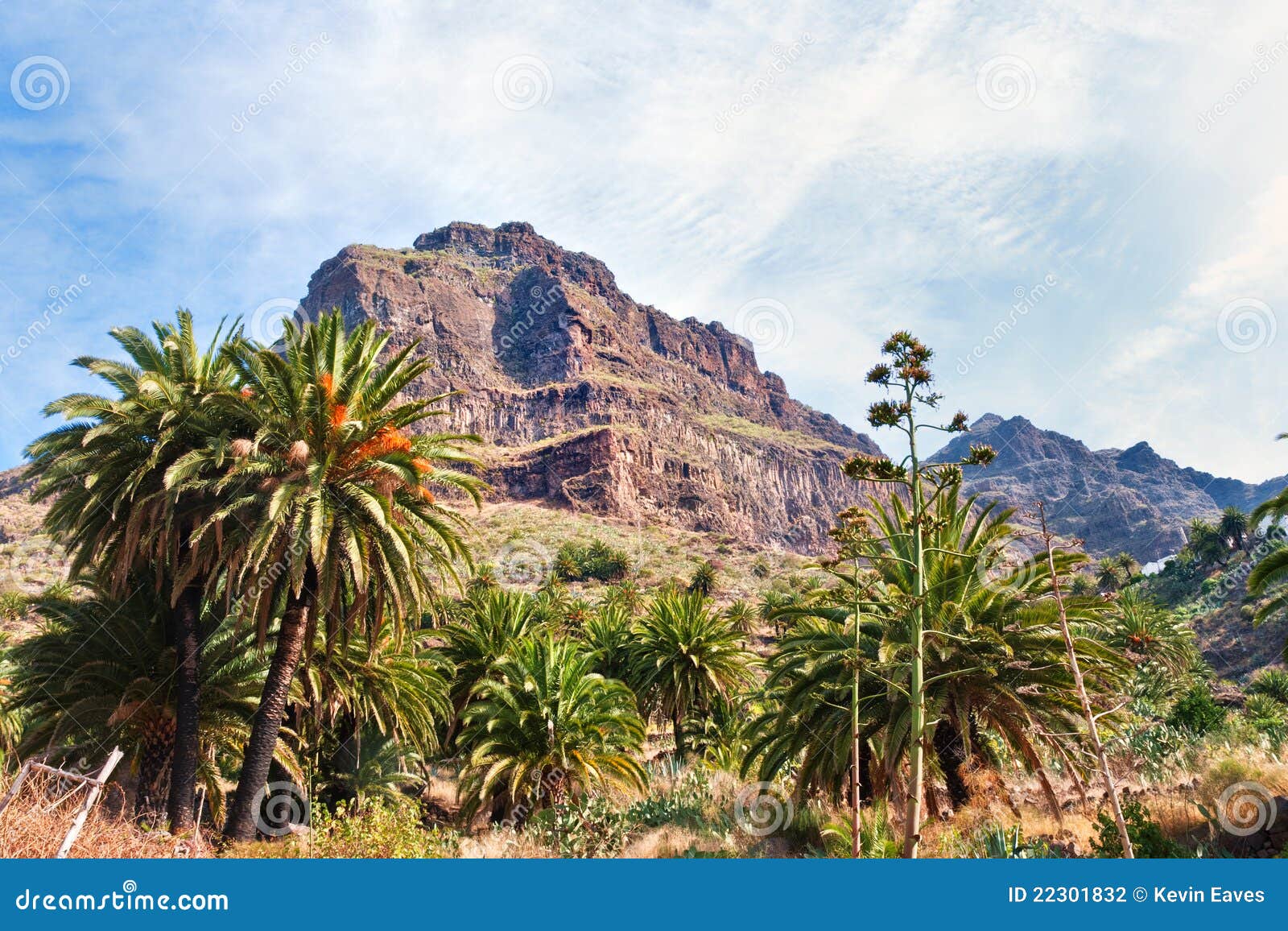 Mountain Scene at Masca, Tenerife Stock Photo - Image of geological ...