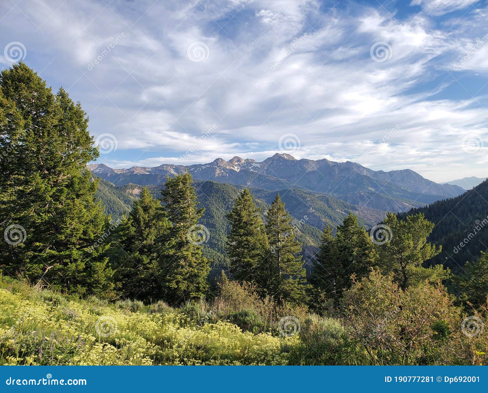Mountain scene in Utah stock image. Image of botanical - 190777281