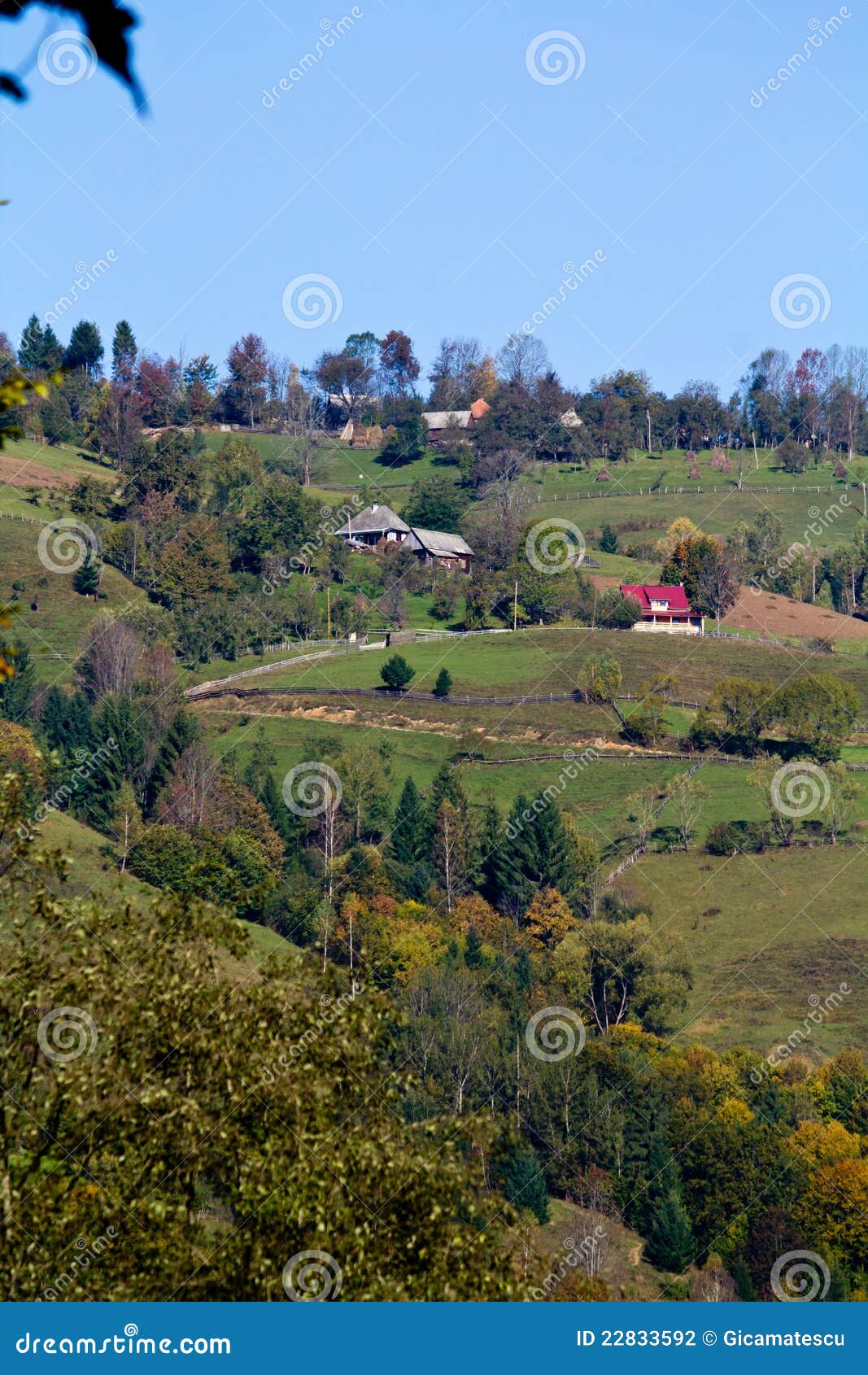 Albac Alba Stock Photos - Free & Royalty-Free Stock Photos from Dreamstime