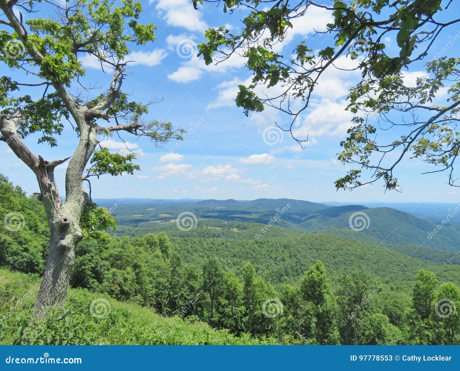 Mountain Scenery Along the Blue Ridge Parkway Stock Image - Image of ...