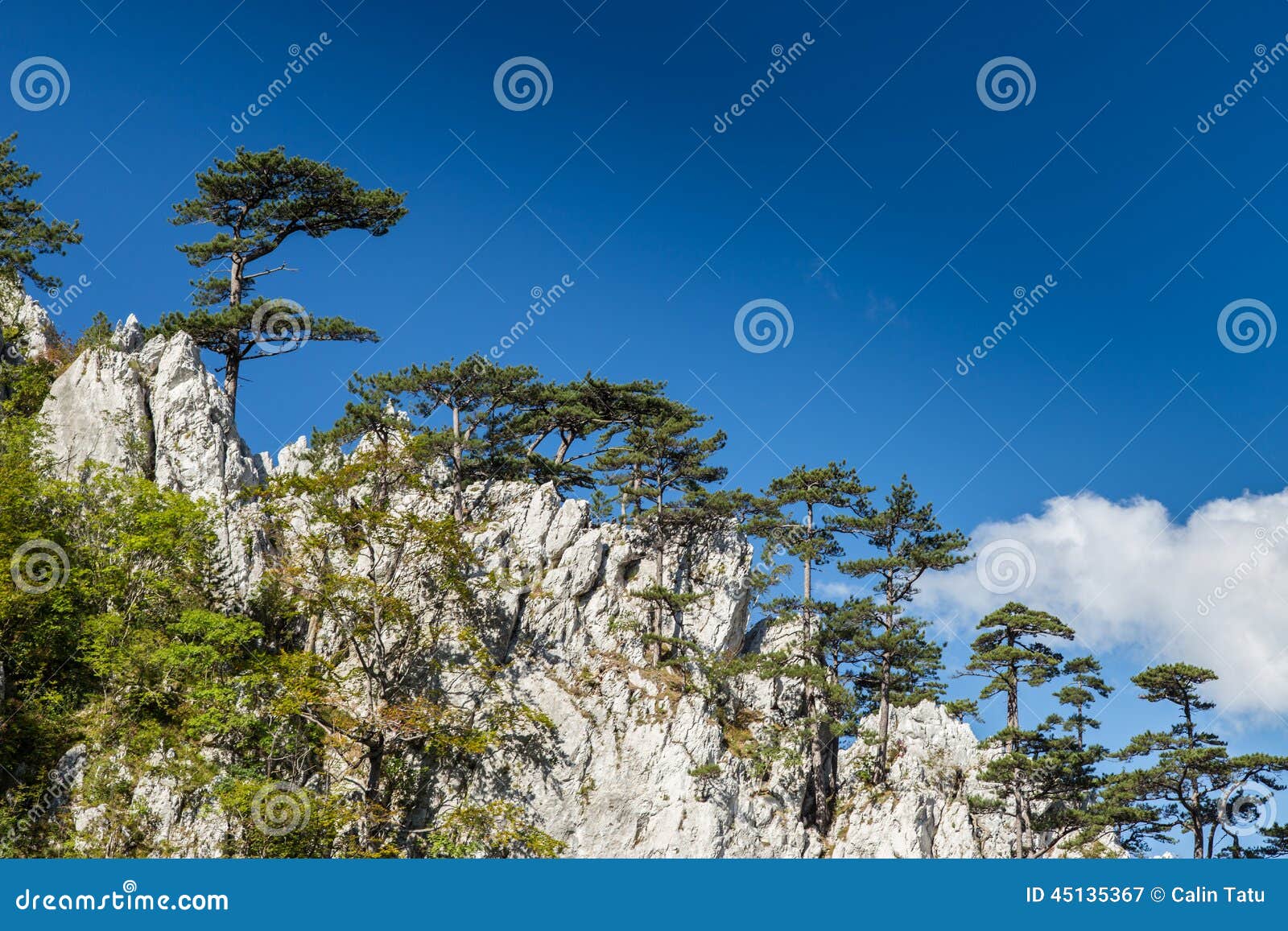 Mountain Scenery with Black Pine Trees Stock Image - Image of building ...