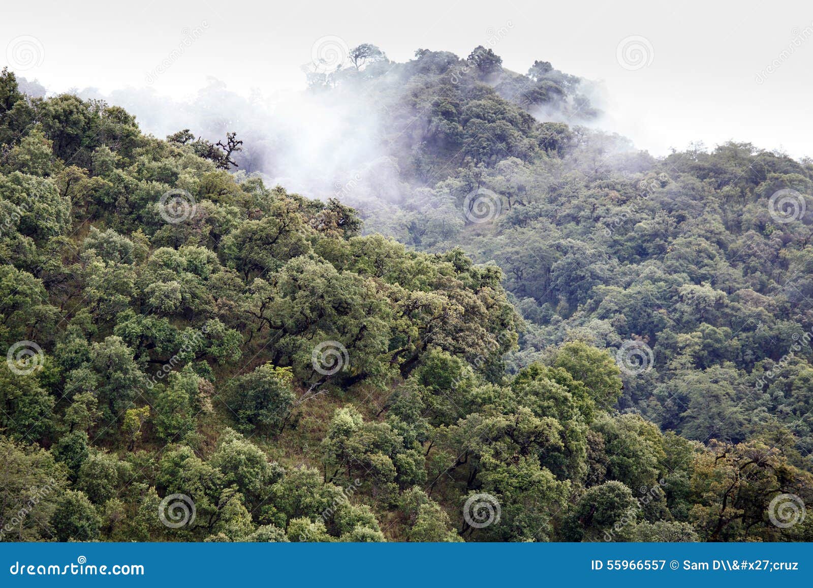 Mountain Scenery, Myanmar stock image. Image of west - 55966557
