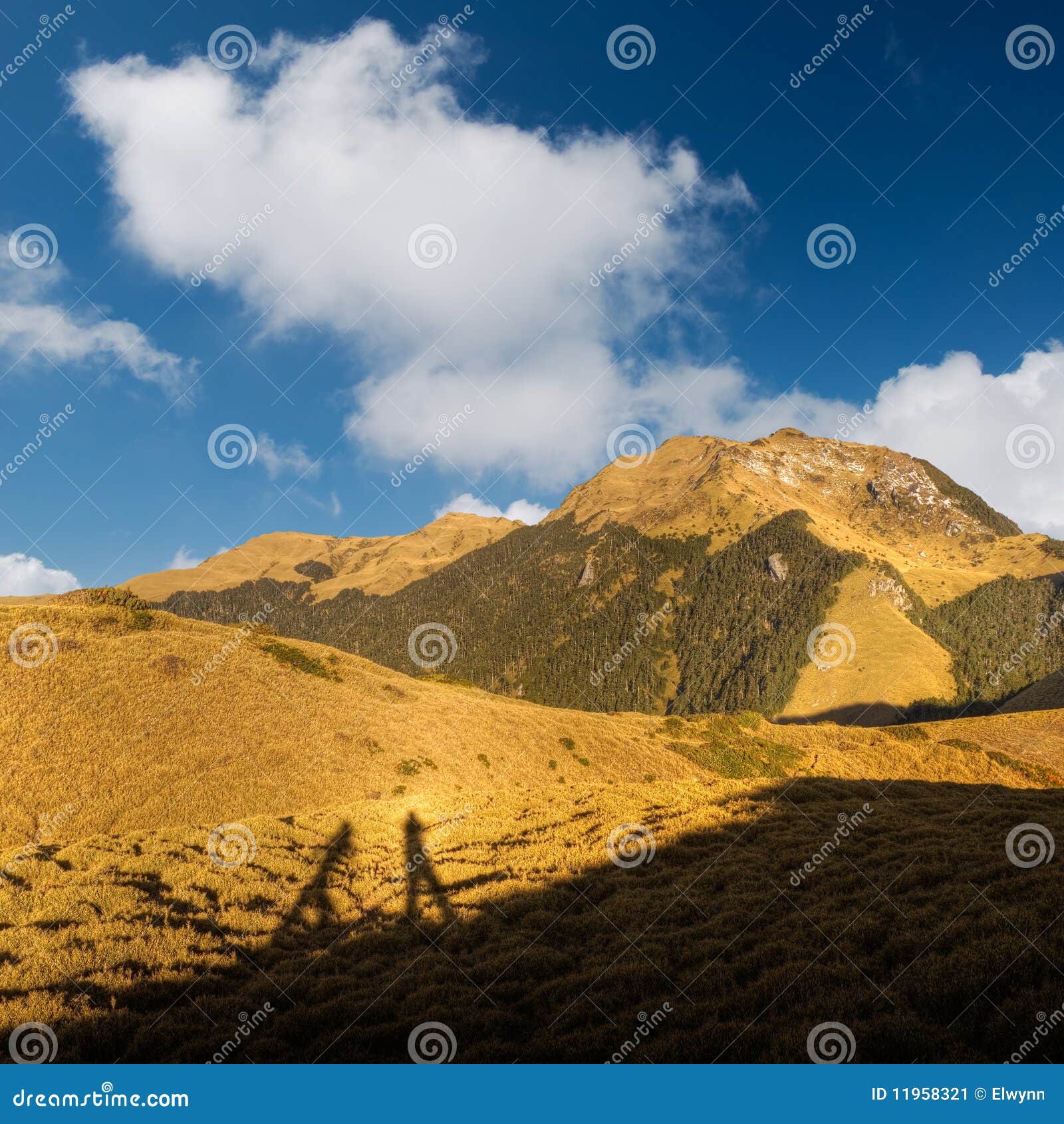 Mountain with shadow stock image. Image of clean, forest - 11958321