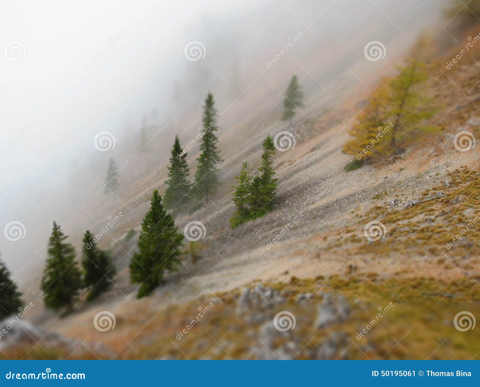 Mountain Sheer Drop Down a Fog Stock Image - Image of freshness, blue ...