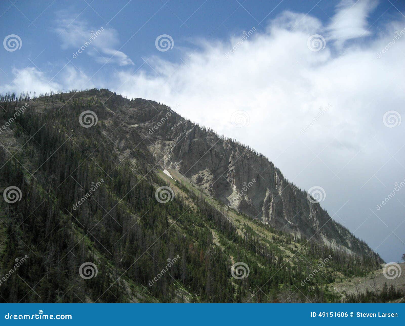 Mountain Side with Avalanche Paths Stock Photo - Image of paths ...