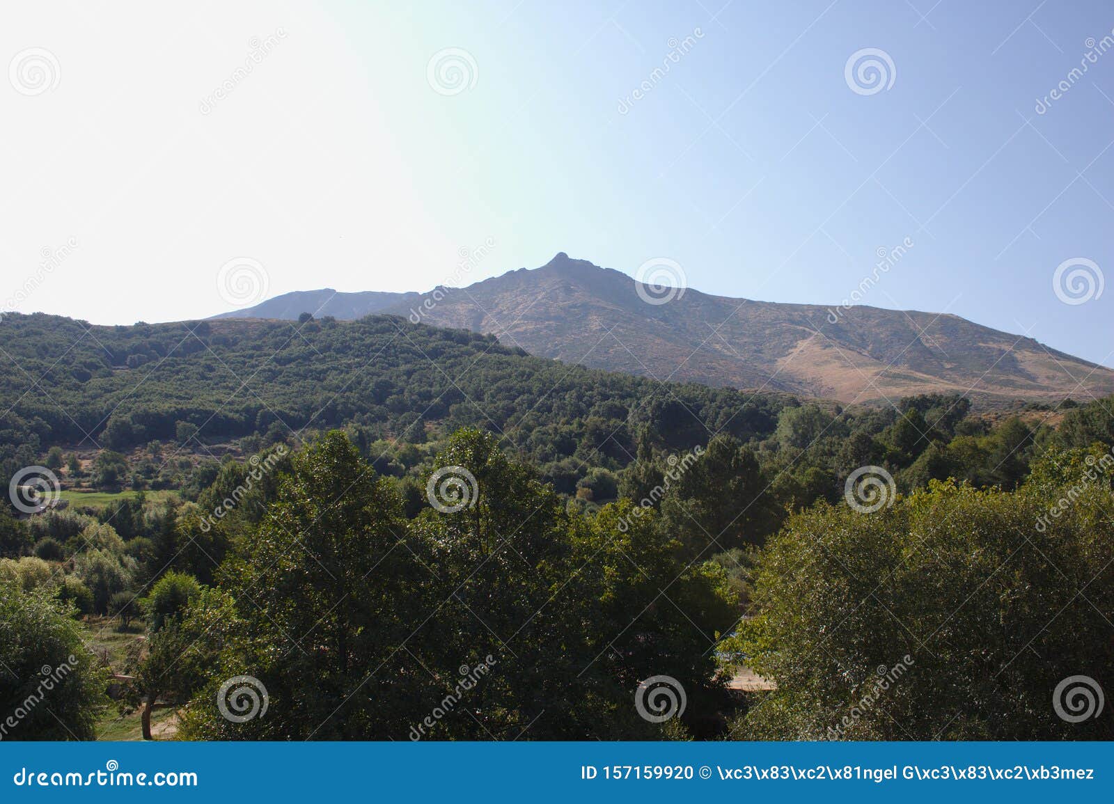 Mountain stock photo. Image of forest, sight, summer - 157159920