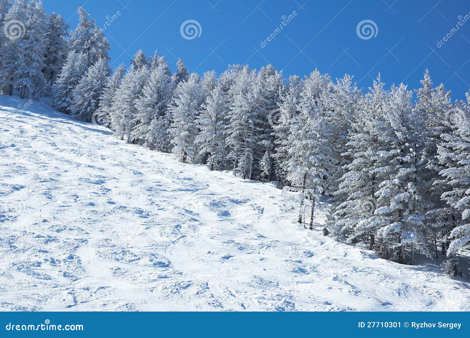 Mountain Ski Slope And Winter Forest Stock Image - Image of sunshine ...