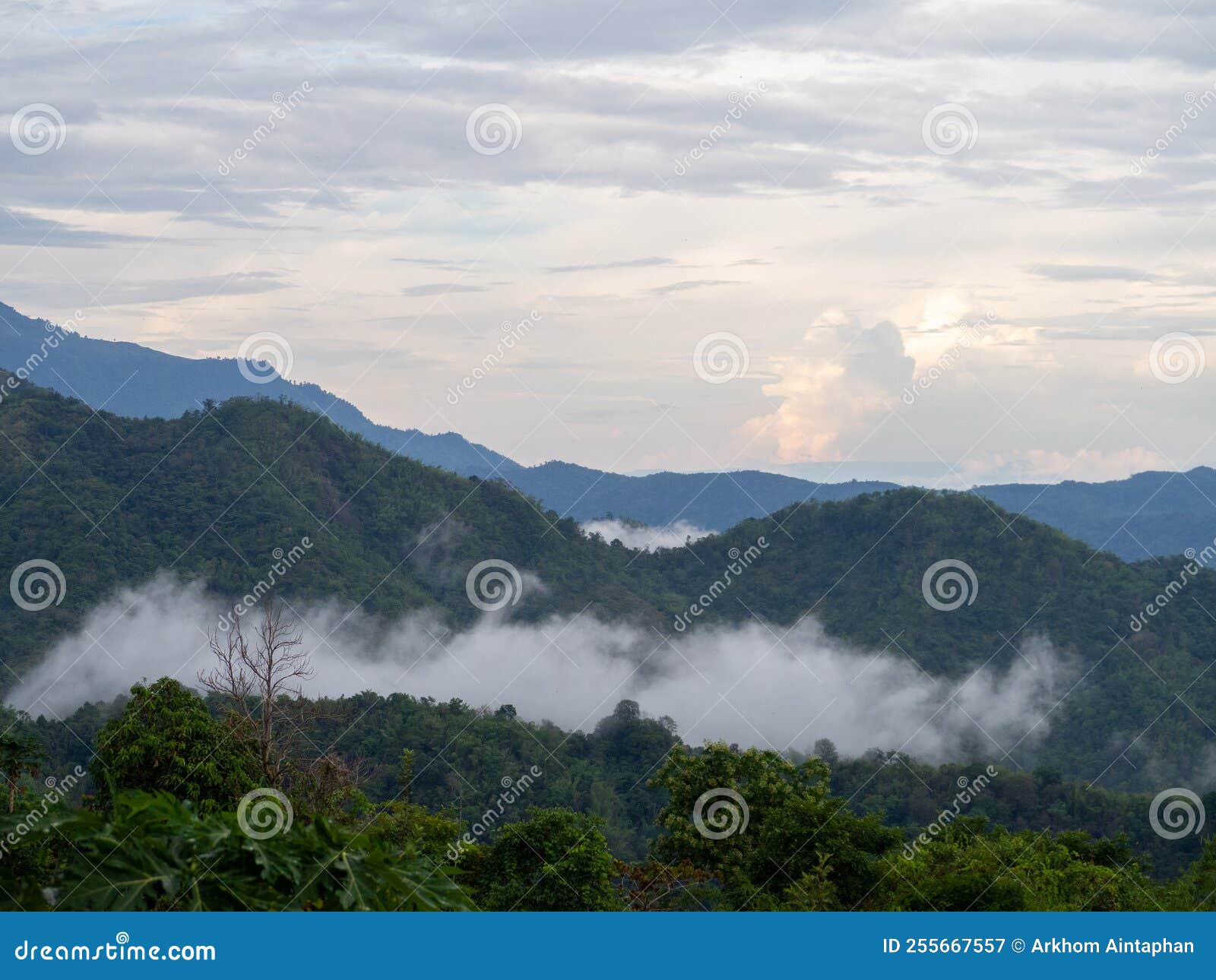 Mountain and Sky at Phetchabun Stock Image - Image of climbing, natural ...