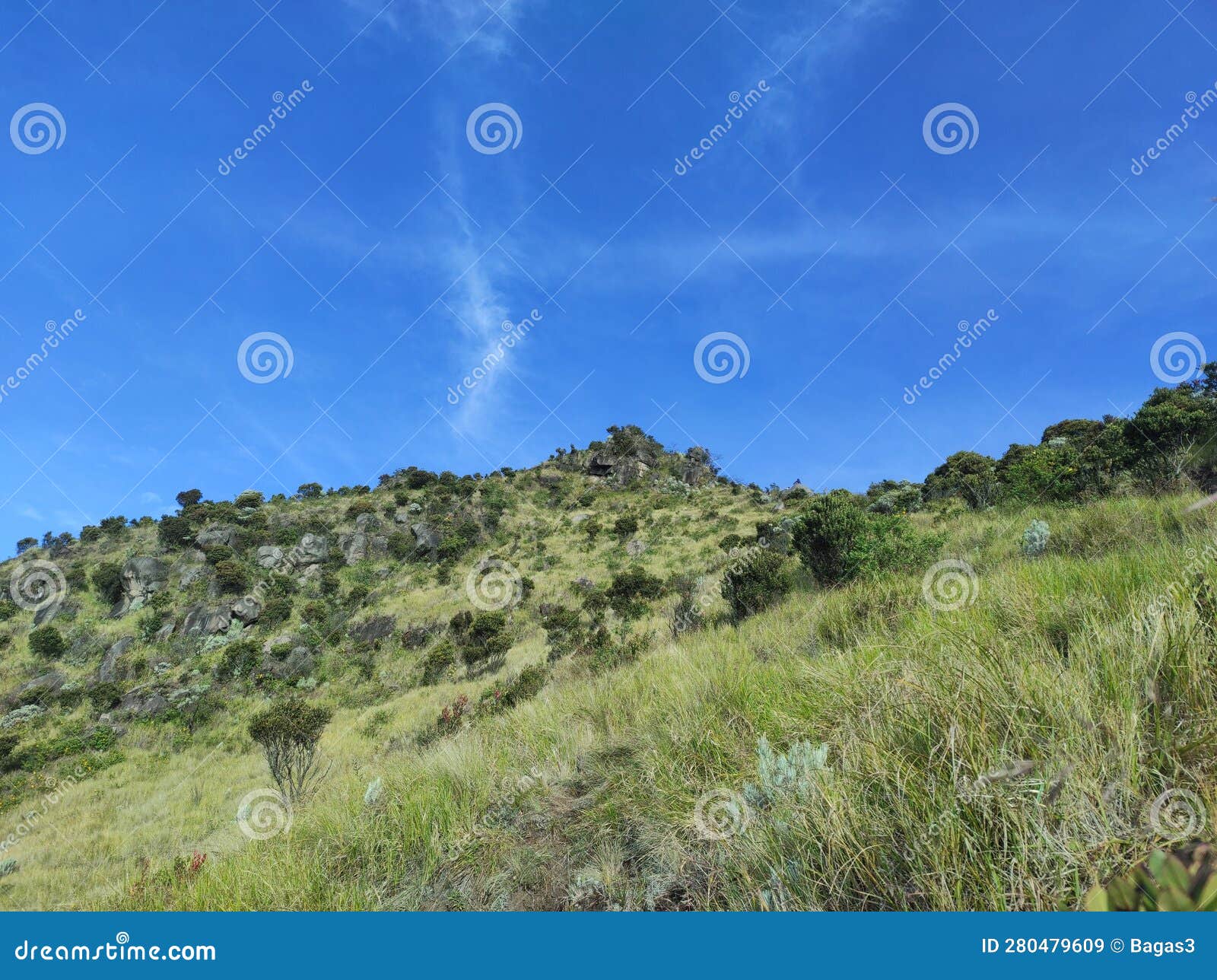 Sea Slope In Blue Water. The Slope Swims Under Water. Side View ...