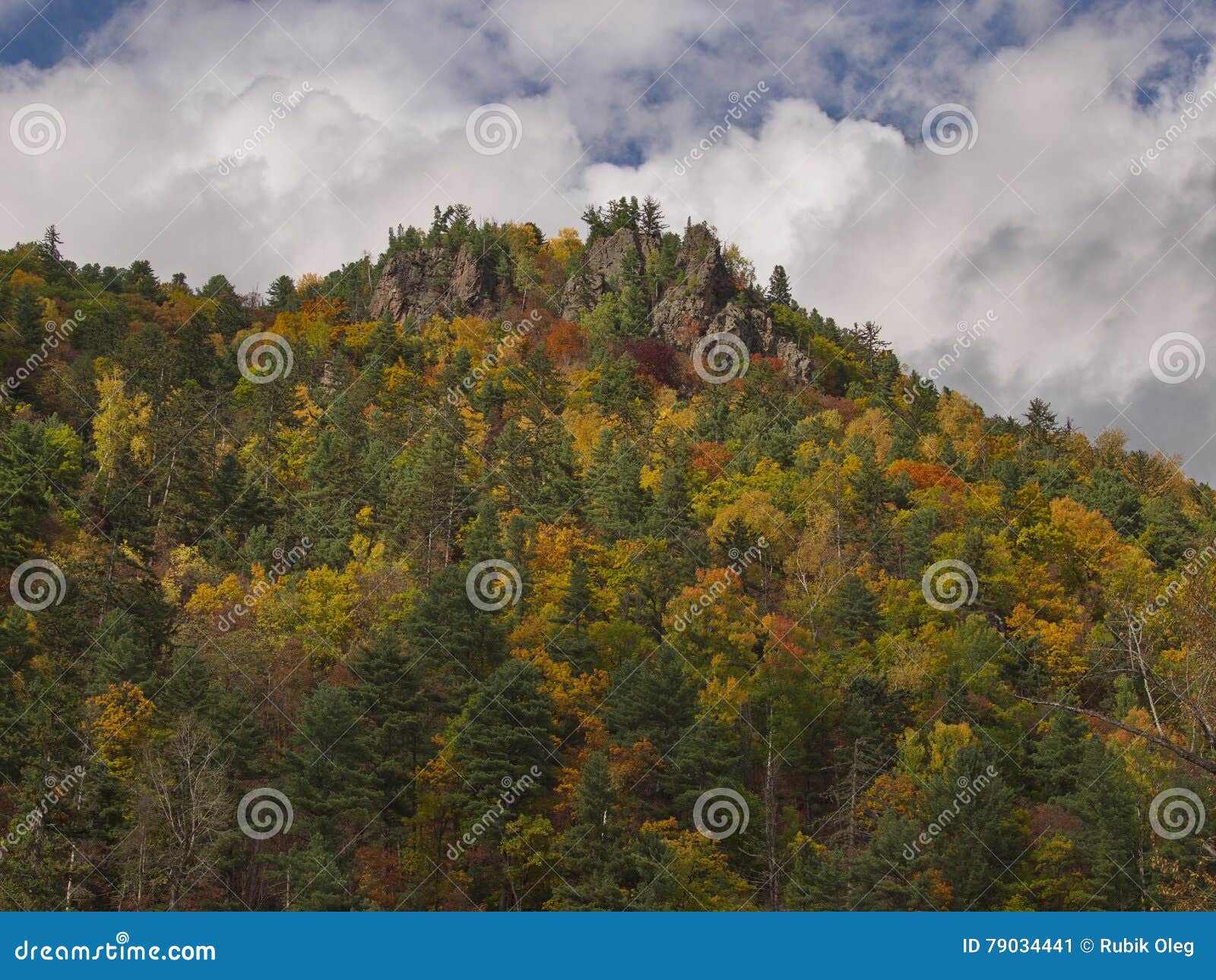 Mountain slope in the fall stock image. Image of pine - 79034441