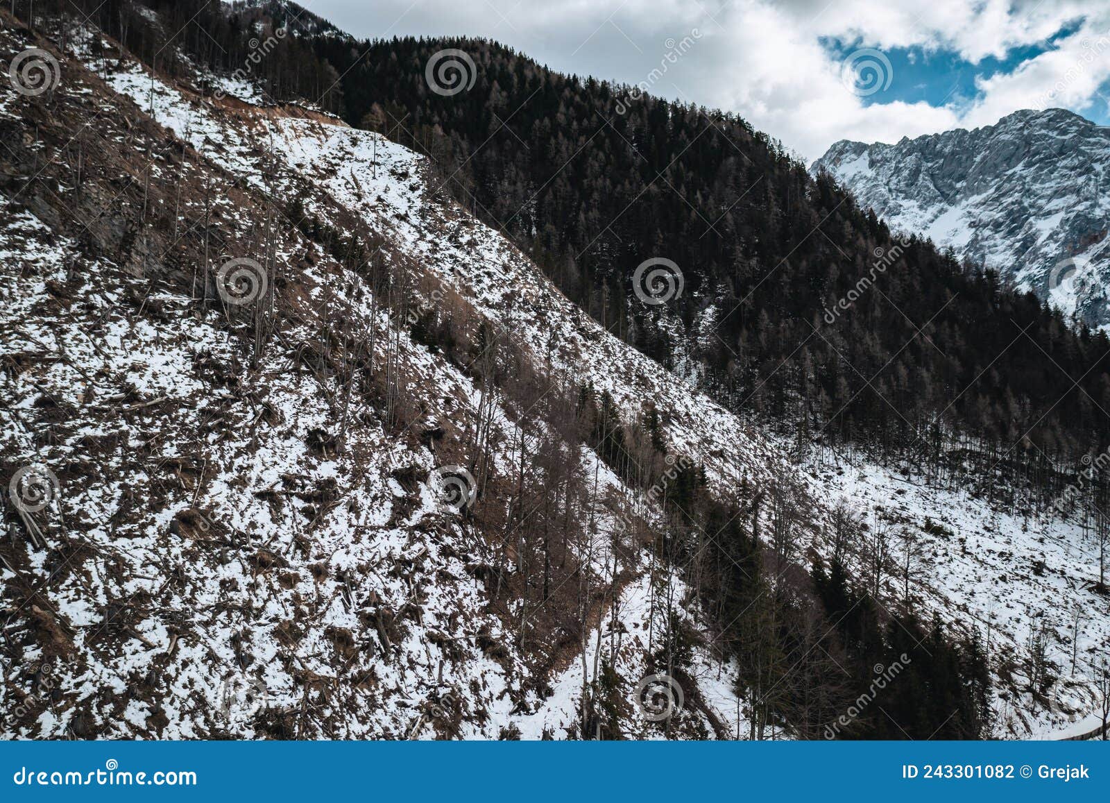 Mountain Slope after Forest Deforestation and Logging, Aerial Shot ...