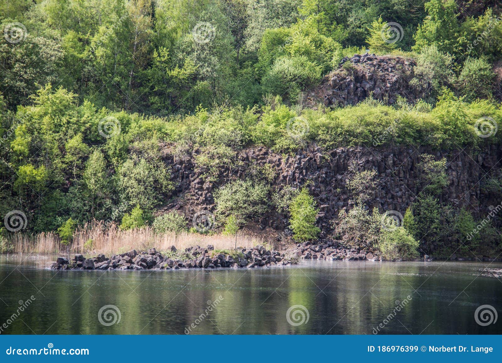 Mountain Slope Made of Basalt Stock Image - Image of plants, rocky ...