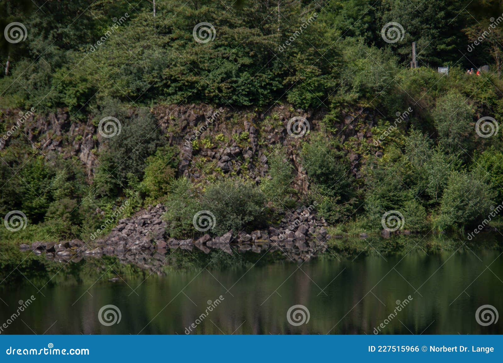 Mountain Slope Made of Basalt Rock Stock Photo - Image of rock, leaves ...