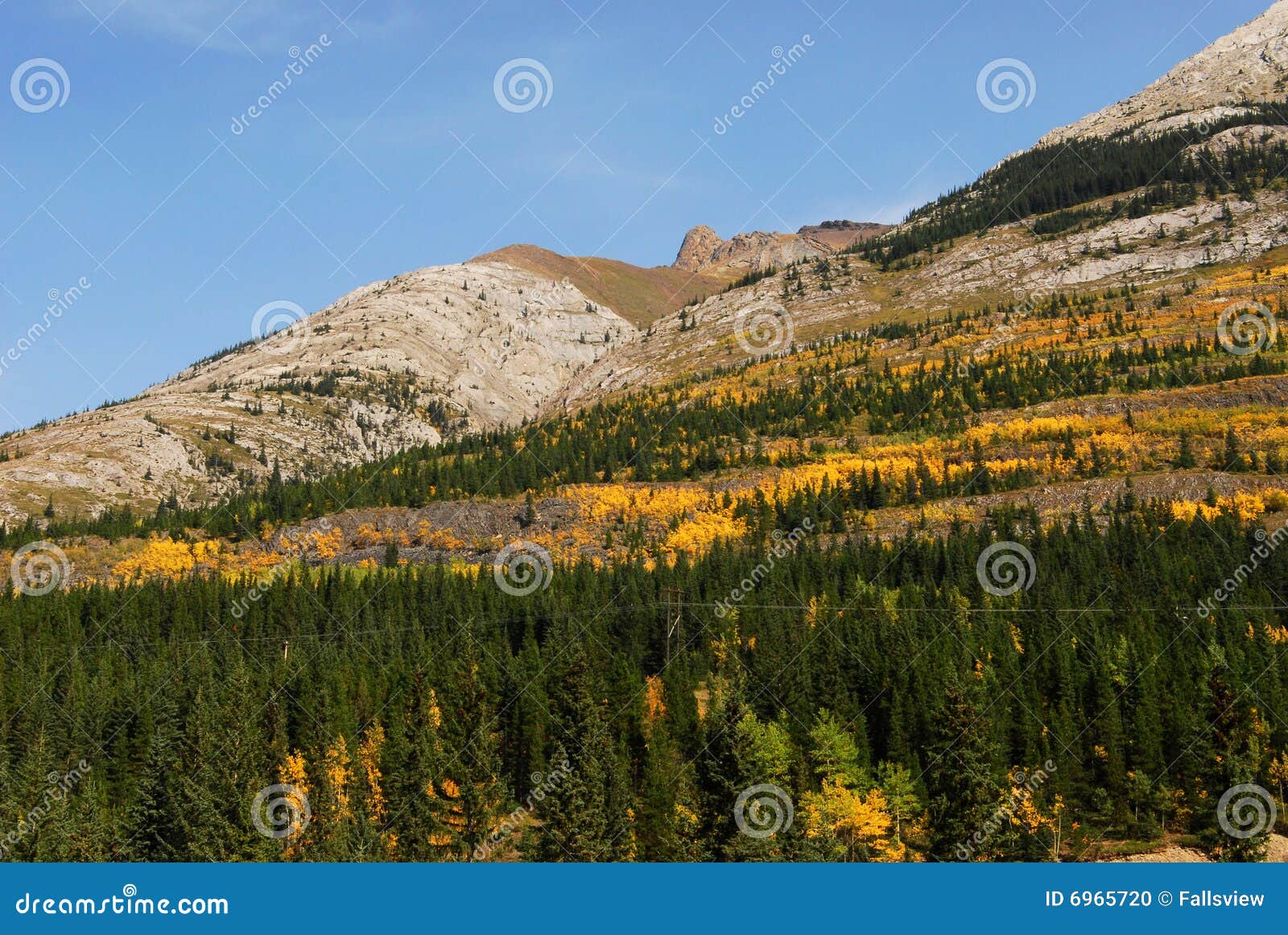 Mountain Slopes with Forests Stock Photo - Image of blue, highland: 6965720