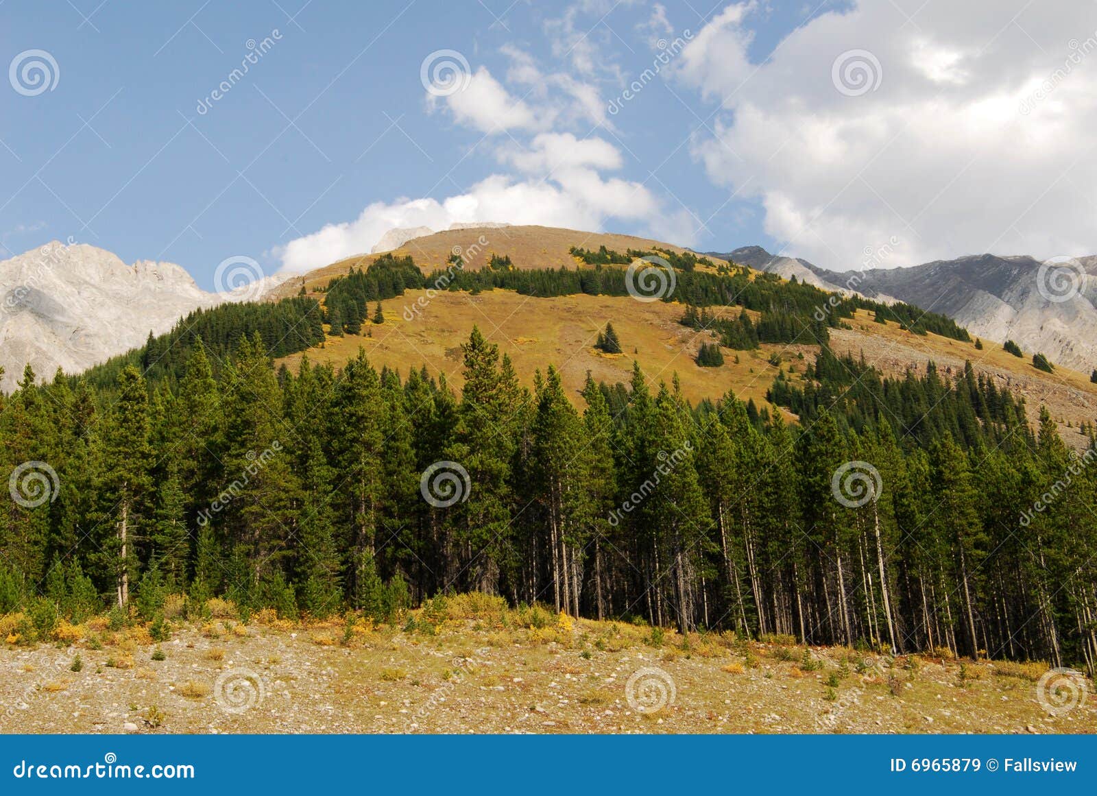Mountain Slopes with Forests Stock Image - Image of mountain, nature ...