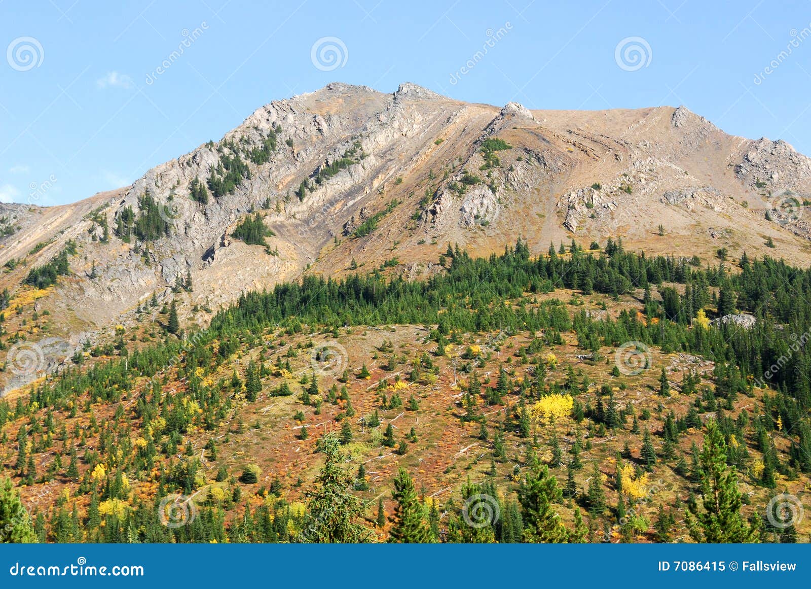 Mountain Slopes with Forests Stock Image - Image of alberta, autumnal ...